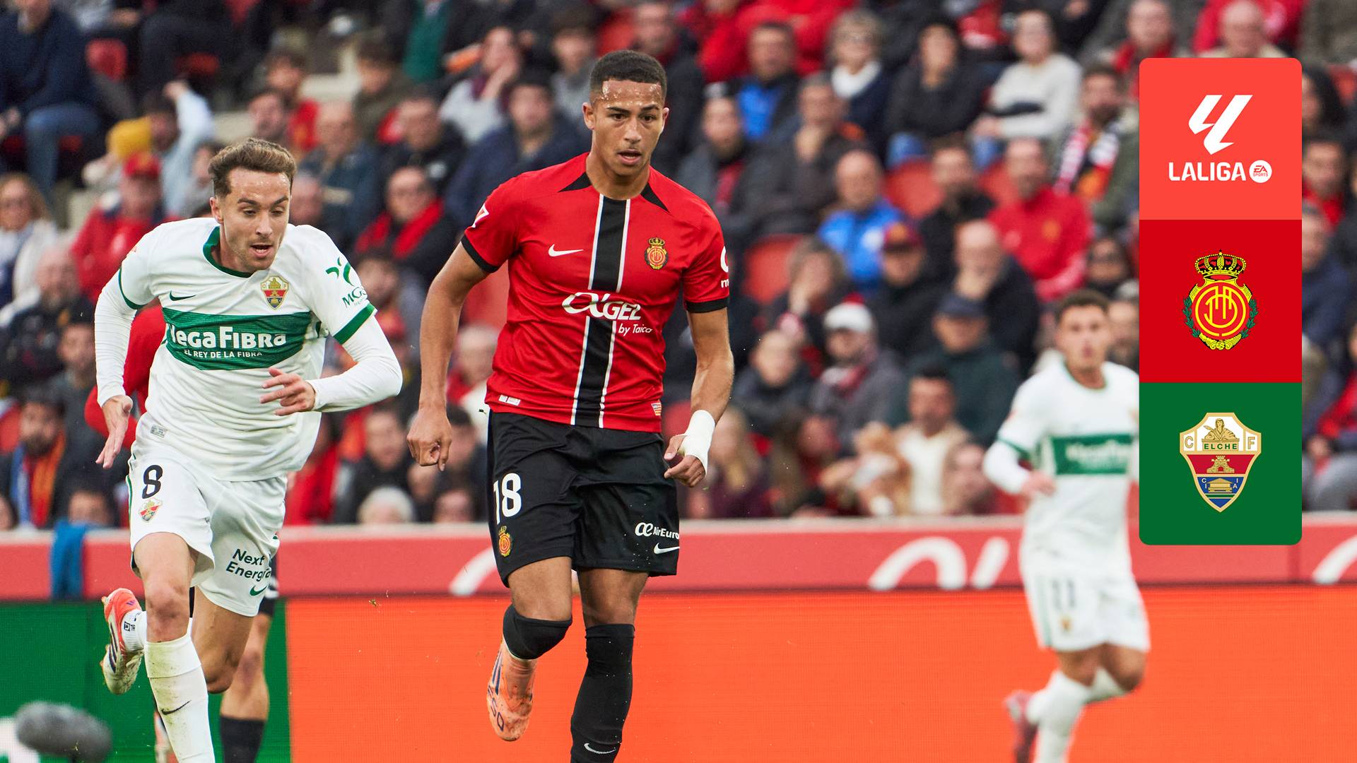 Watch Maiorca - Elche Live Stream Online | DAZN IT