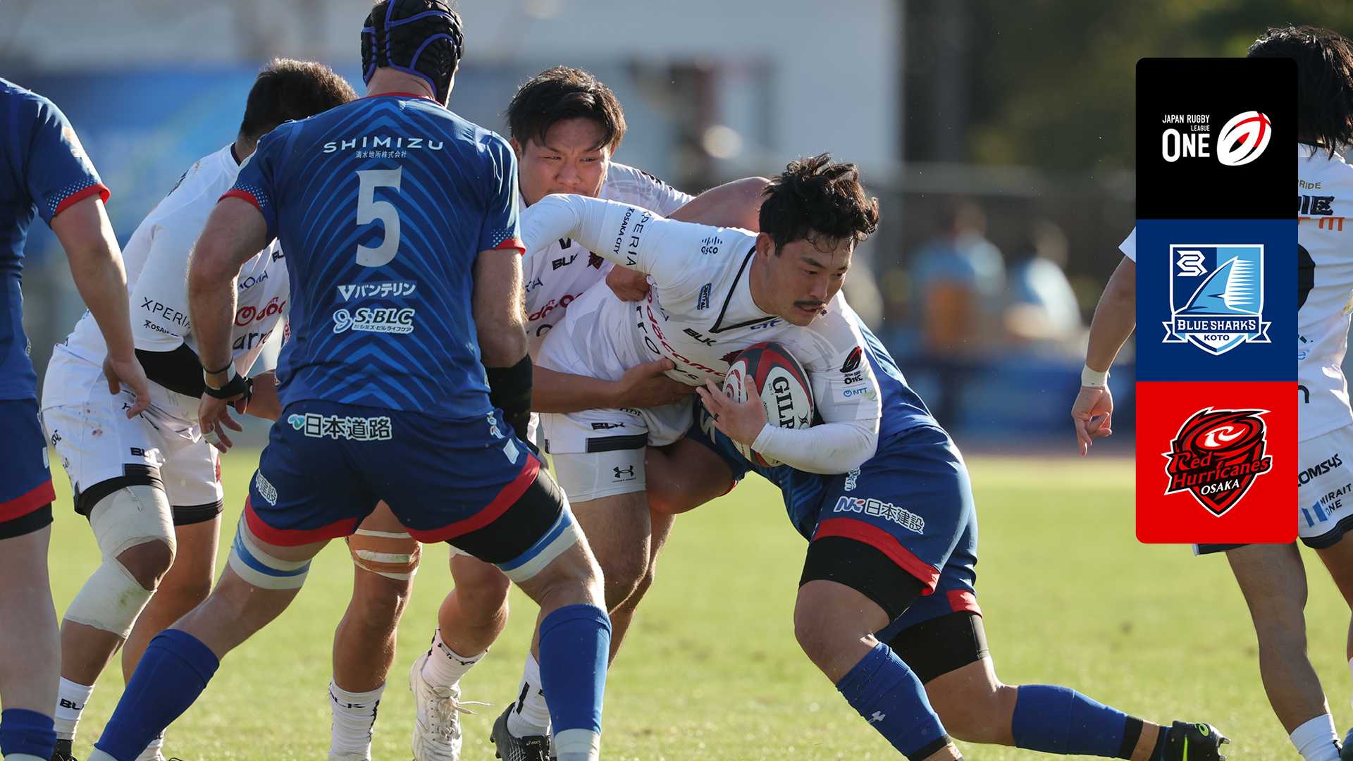 Watch Shimizu Koto Blue Sharks vs. Red Hurricanes Osaka Live Stream ...