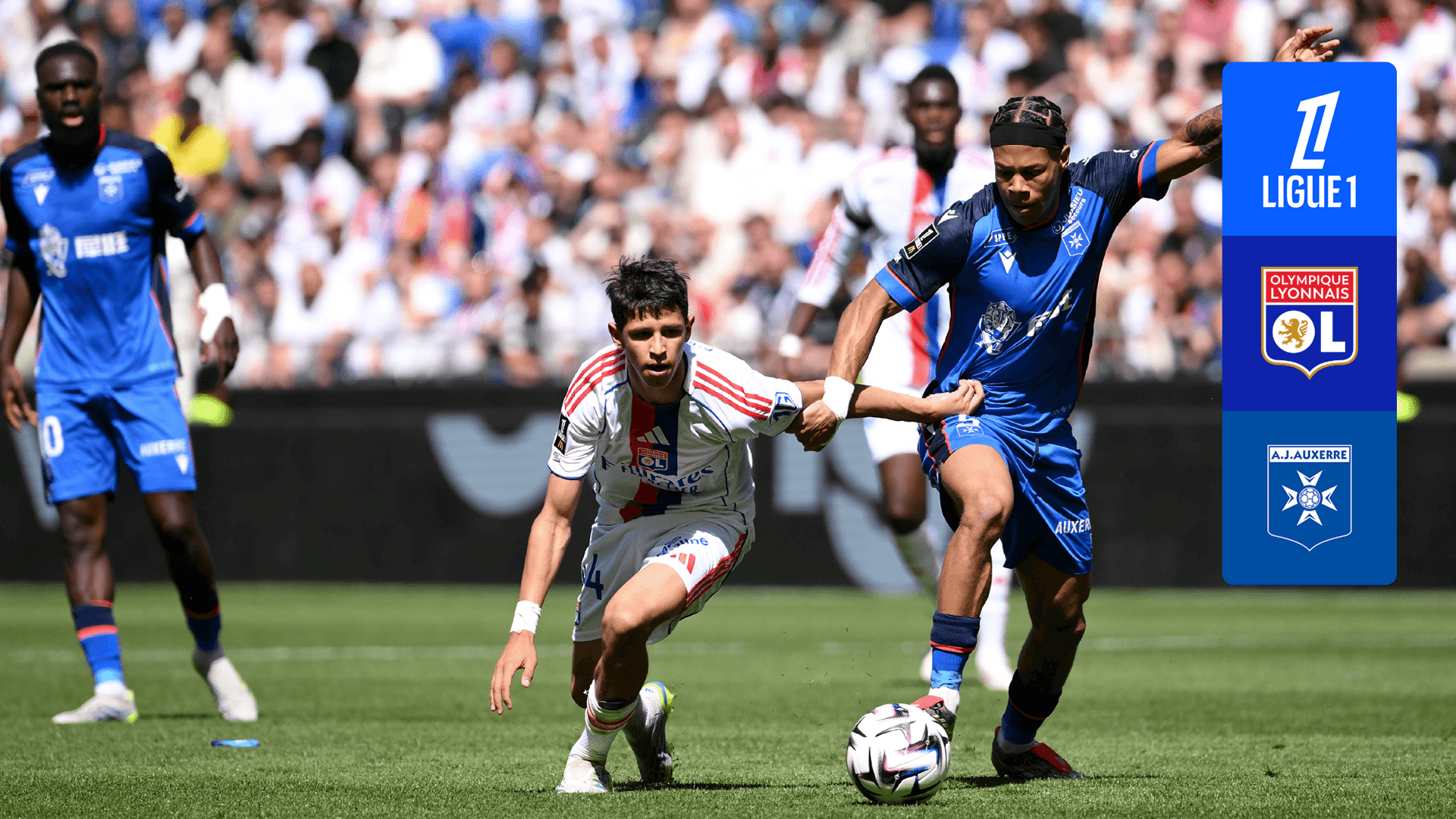 Watch Lyon - Auxerre Live Stream Online | DAZN BE