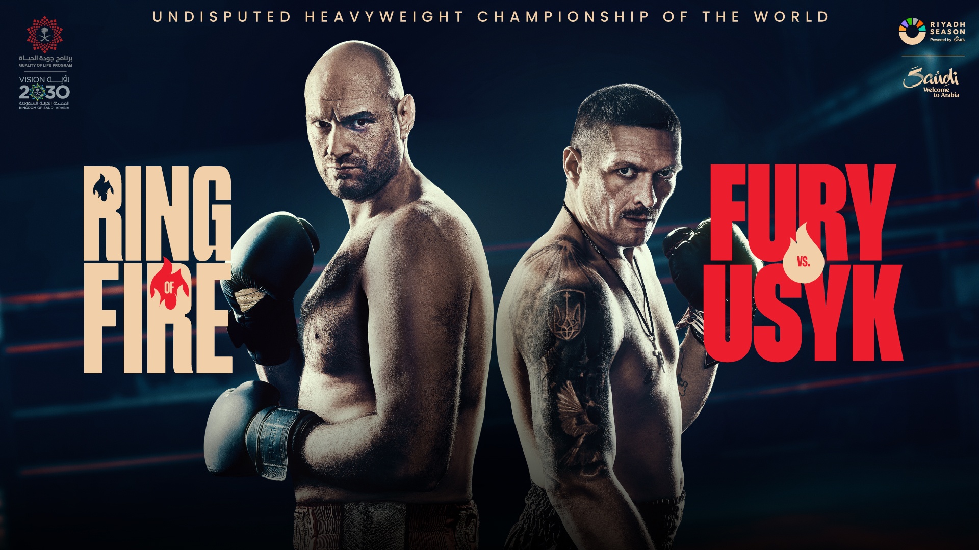 Watch Tyson Fury vs. Oleksandr Usyk: Road to Undisputed Documentary ...