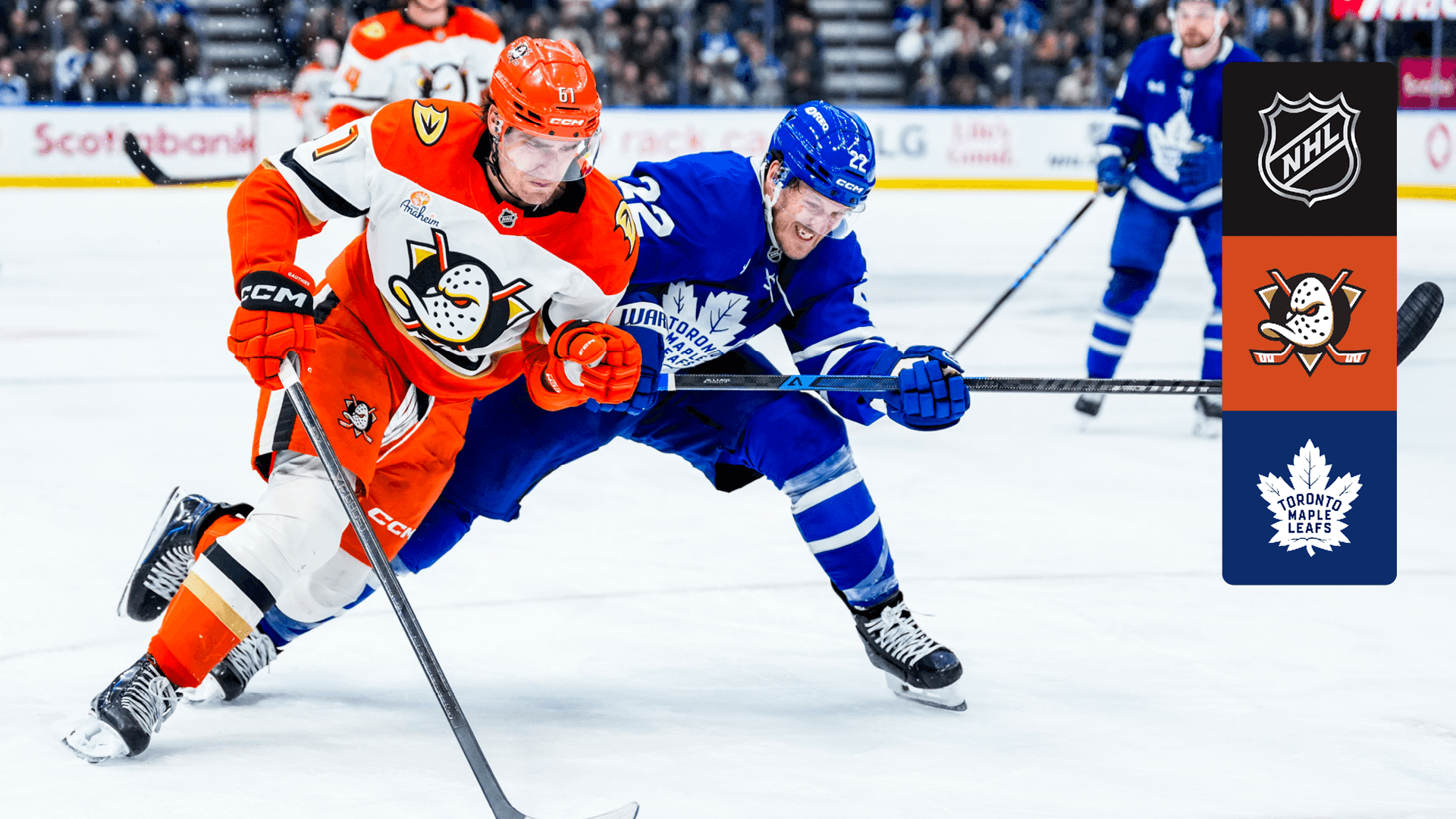 Watch Ducks @ Maple Leafs Live Stream Online | DAZN GR