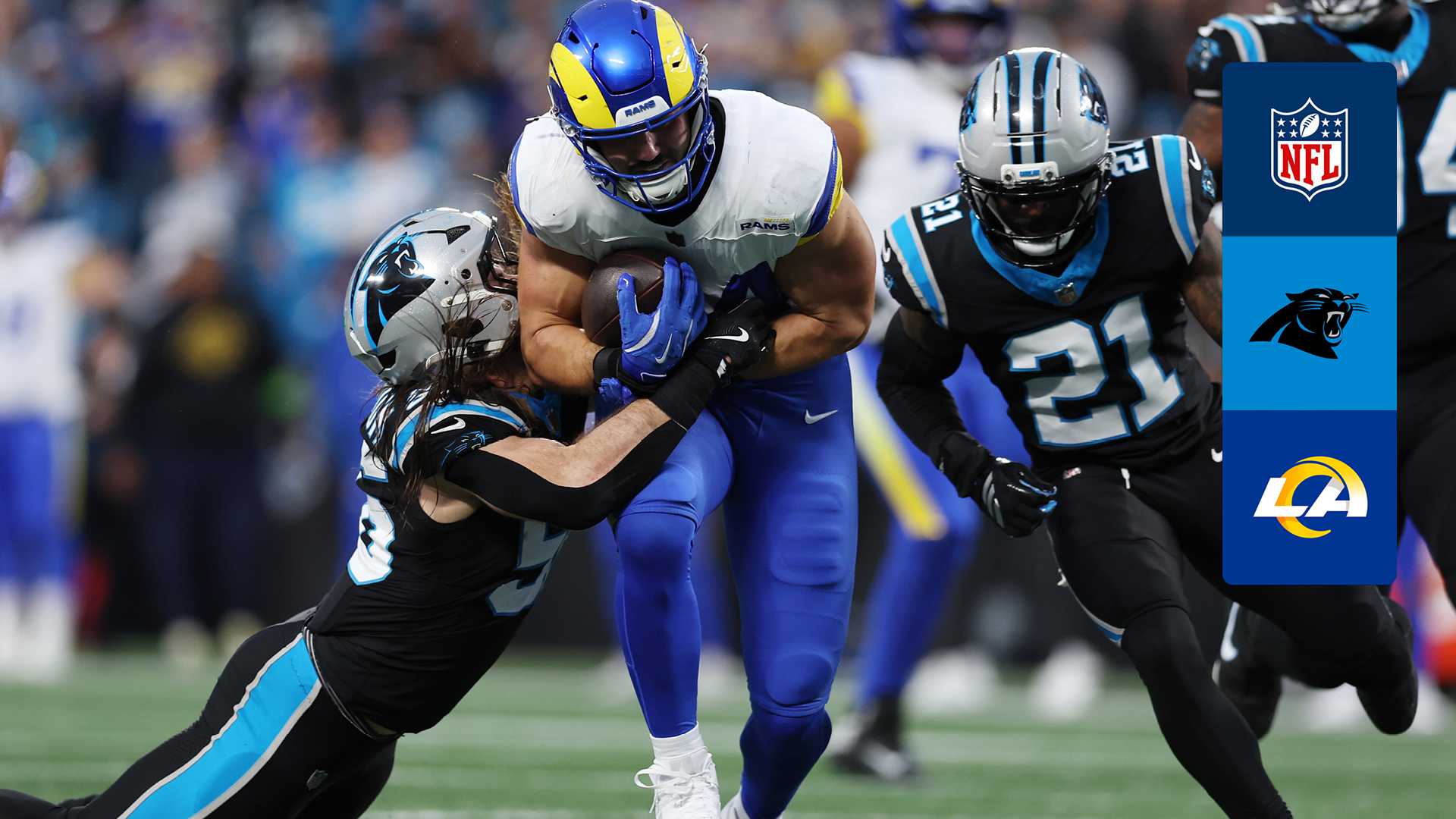 Watch Rams @ Panthers (Domestic) Live Stream Online | DAZN IT