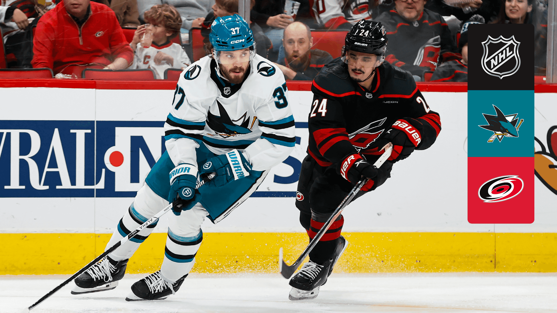 Watch Sharks @ Hurricanes Live Stream Online | DAZN AE