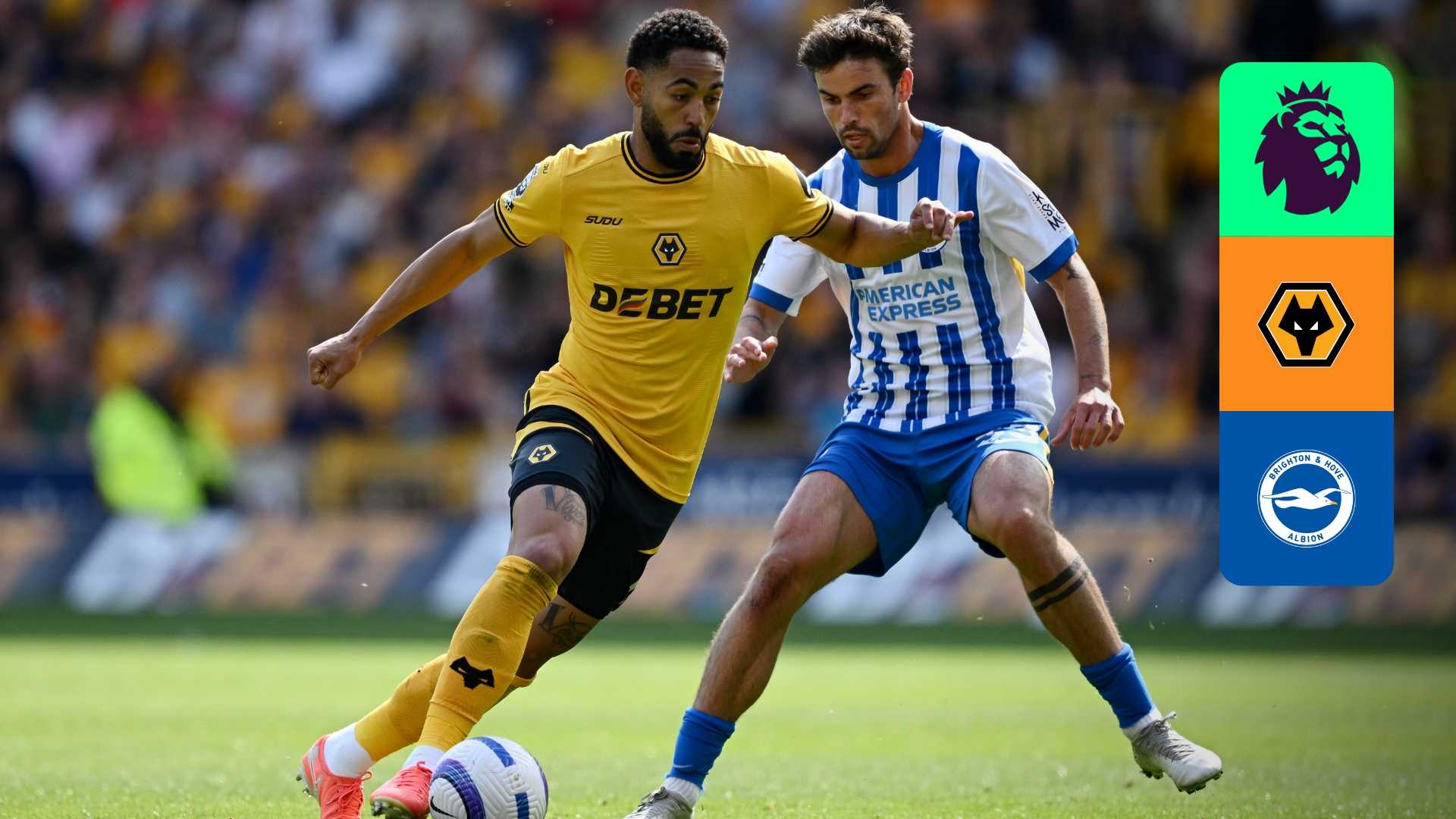 Ver: Wolves x Brighton em Direto | DAZN PT