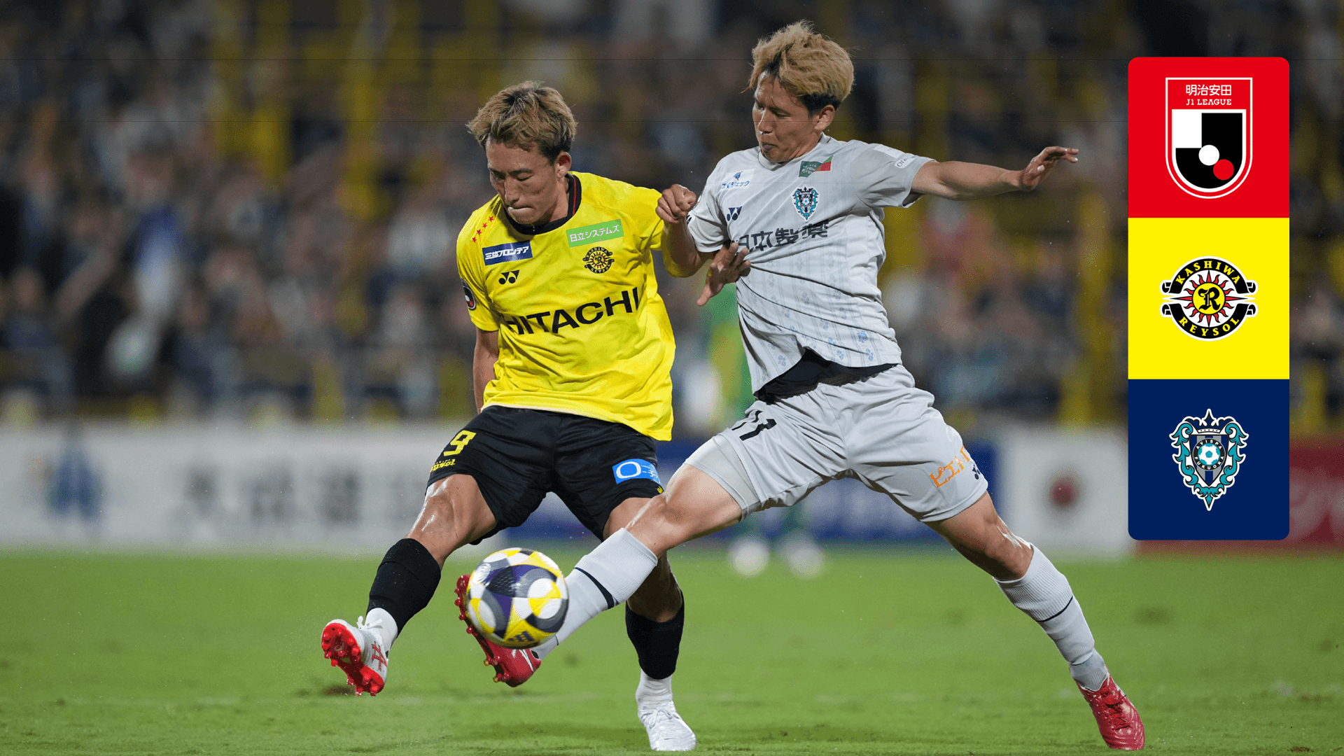 Watch Kashiwa v Fukuoka Live Stream Online | DAZN JP