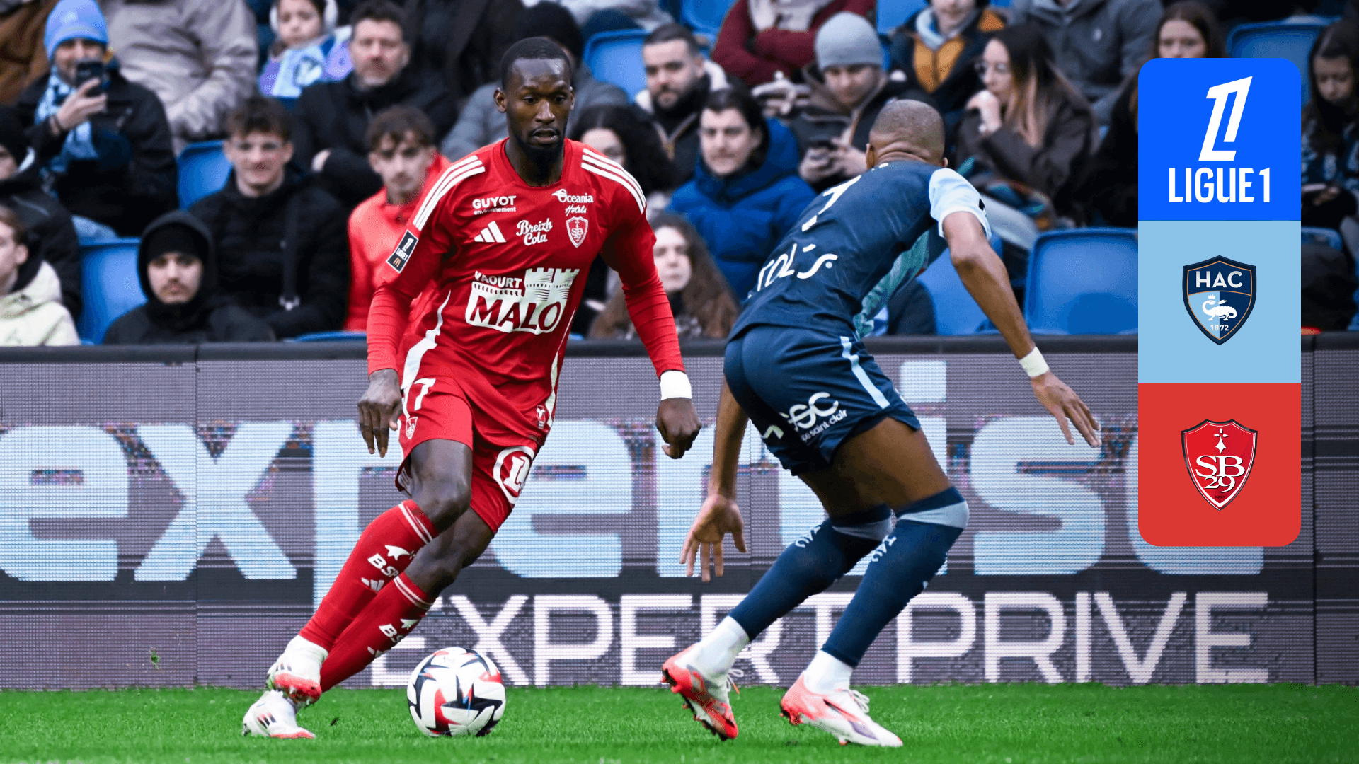 Watch Le Havre - Brest Live Stream | DAZN DE