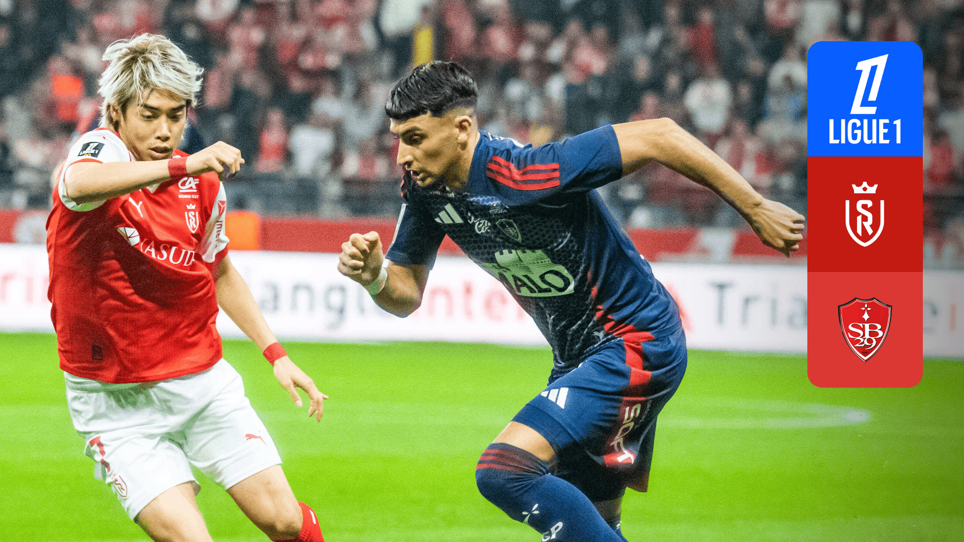 Watch Reims - Brest Live Stream | DAZN DE