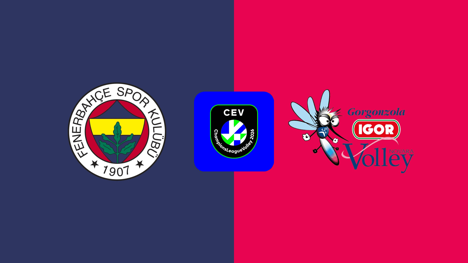 Watch Fenerbahçe - Novara Live Stream Online | DAZN IT