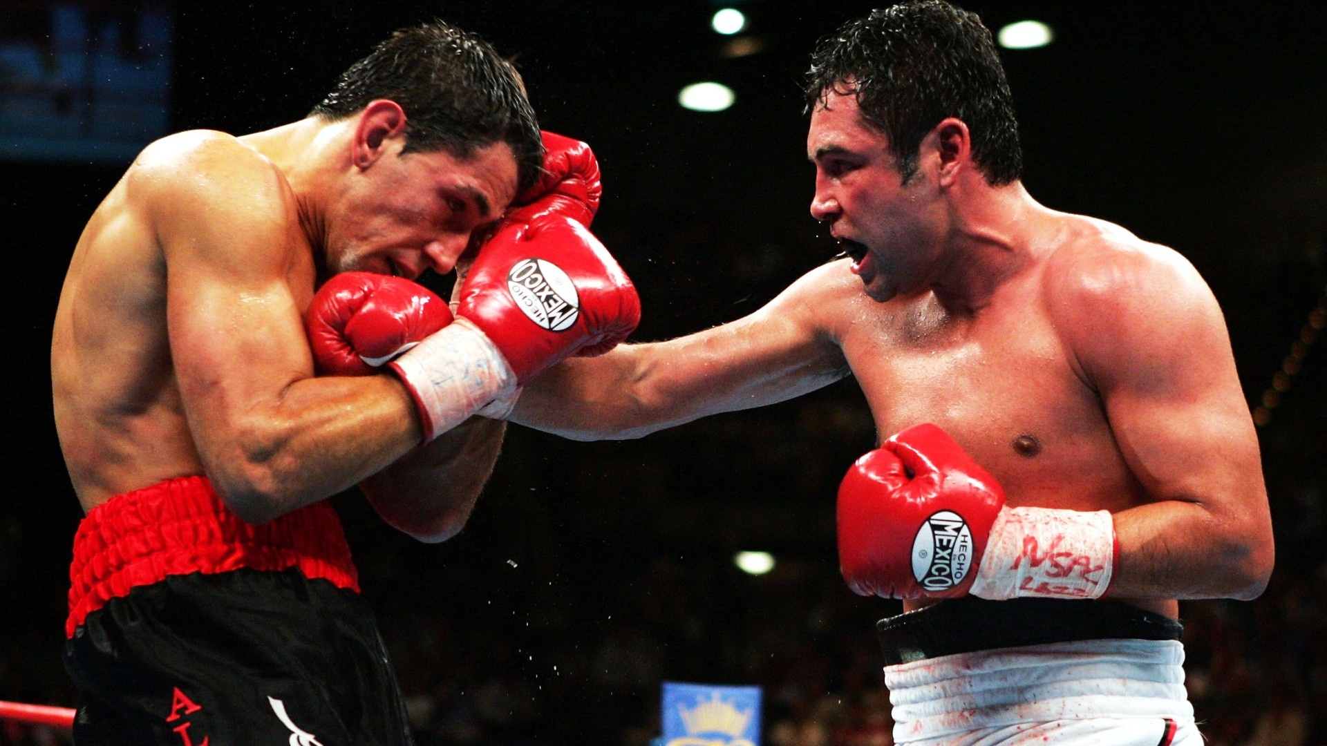 Watch De La Hoya vs. Sturm (2004) Online | DAZN JP