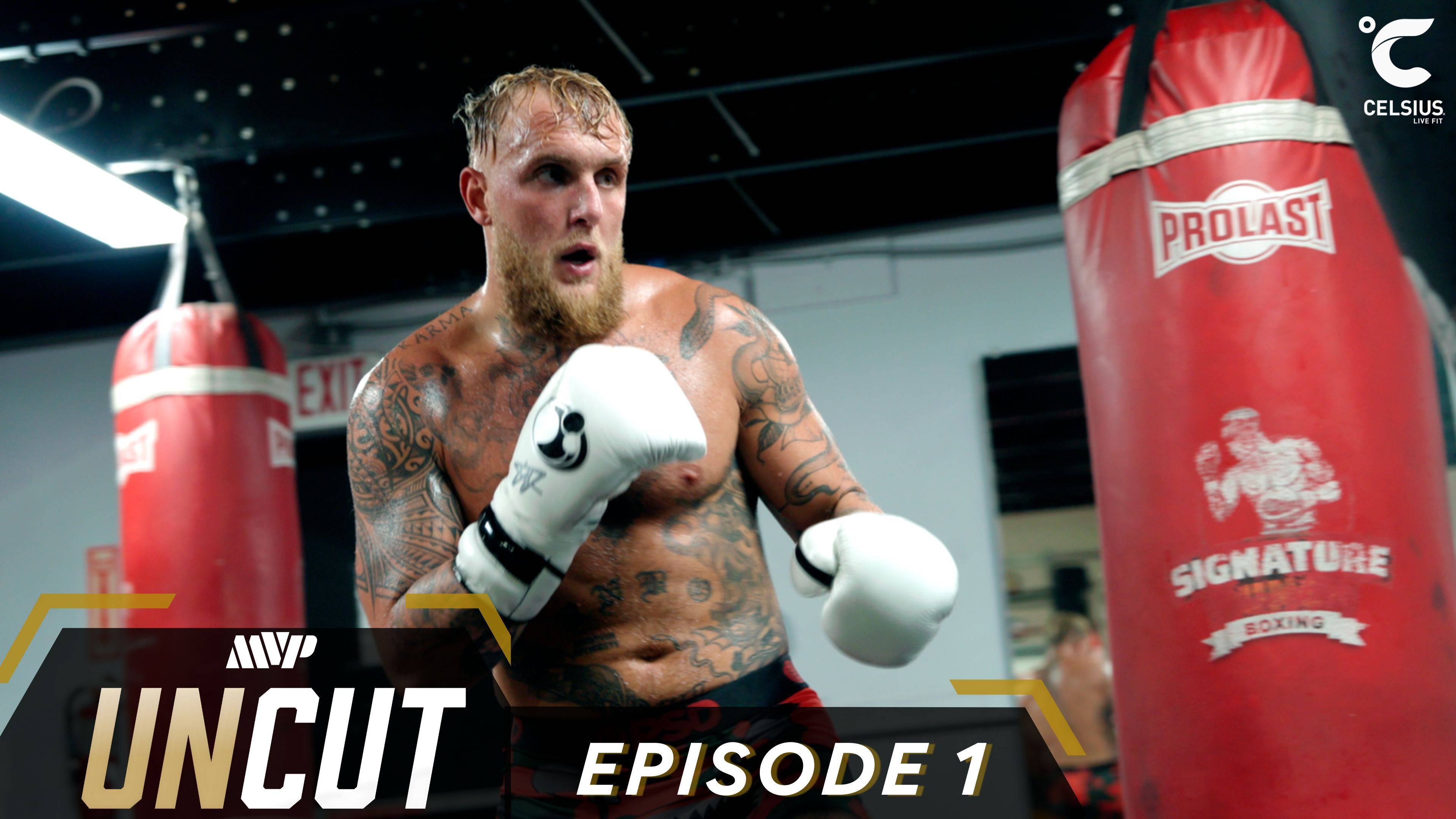 Watch Jake Paul vs. Mike Perry | MVP Uncut Series: Episode 1 Online ...