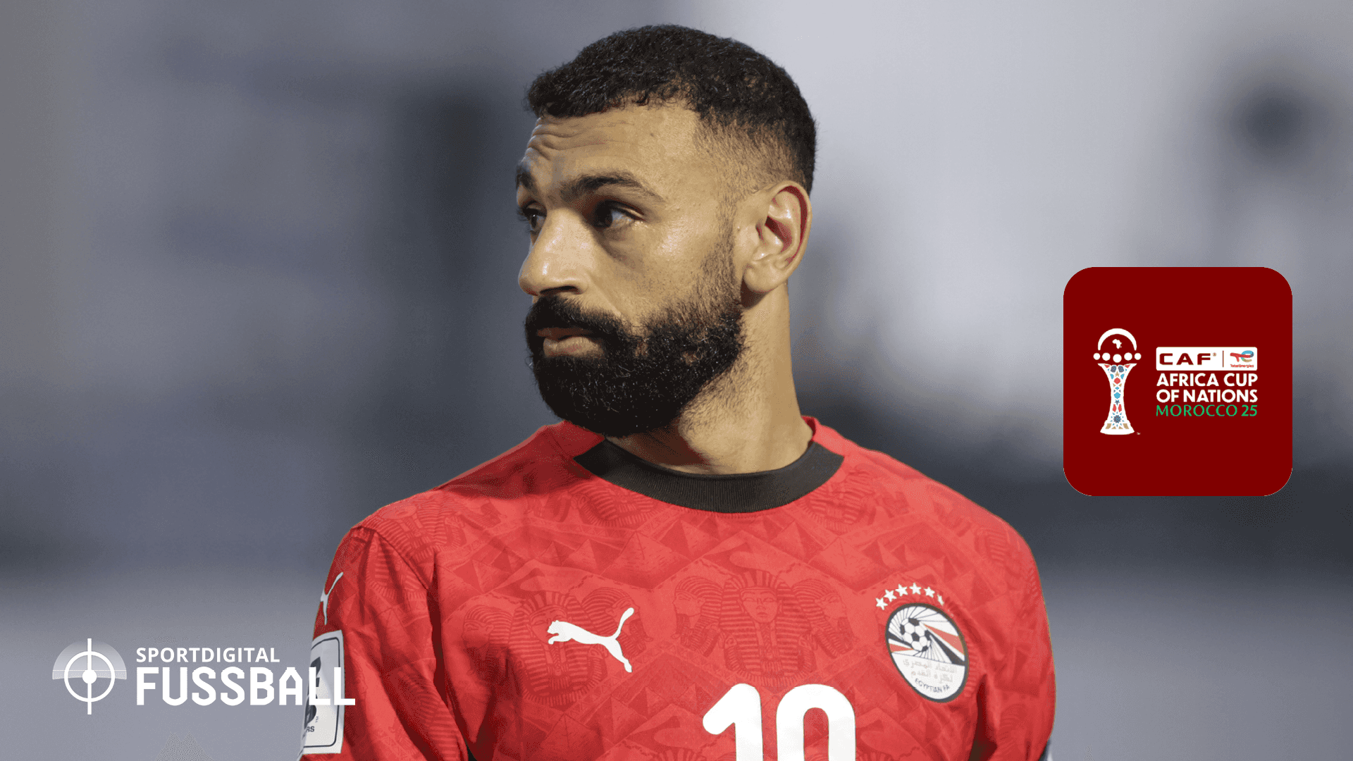 Watch AFCON Conference | Angola - Egypt & Zimbabwe - South Africa Live ...