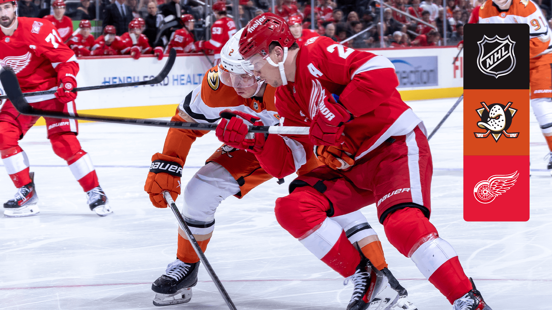 شاهد البث المباشر لـ Ducks @ Red Wings | DAZN MA
