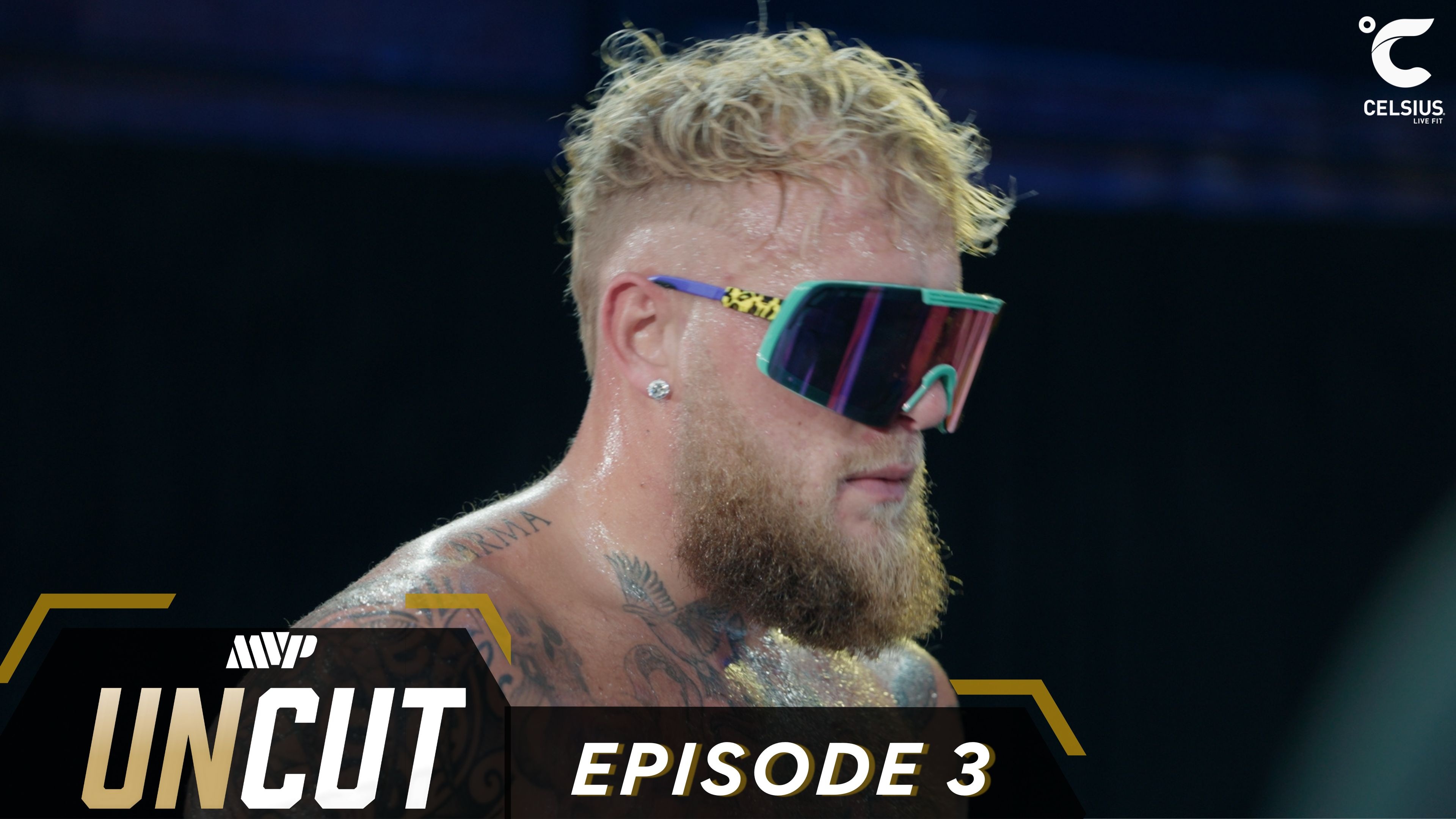 Watch Jake Paul vs. Mike Perry | MVP Uncut Series: Episode 3 Online ...