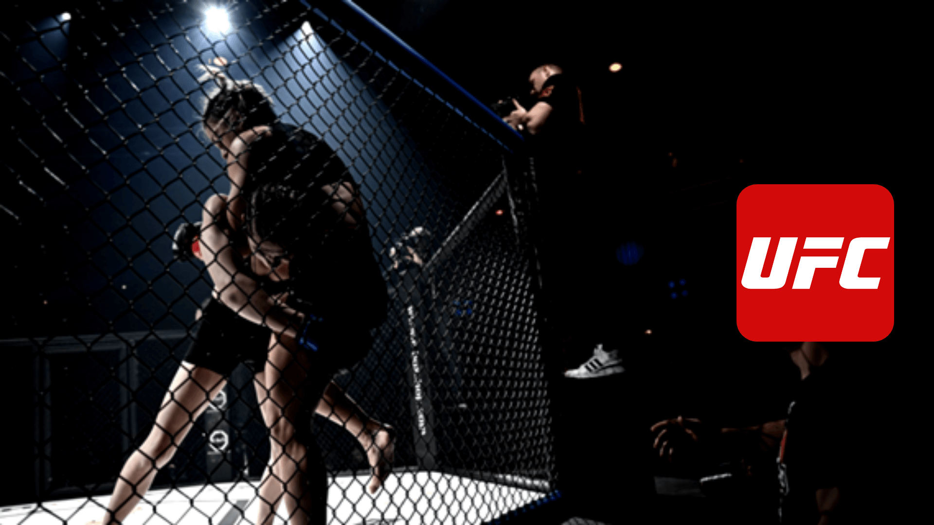 Watch UFC 308 | Topuria v Holloway Live Stream | DAZN IT