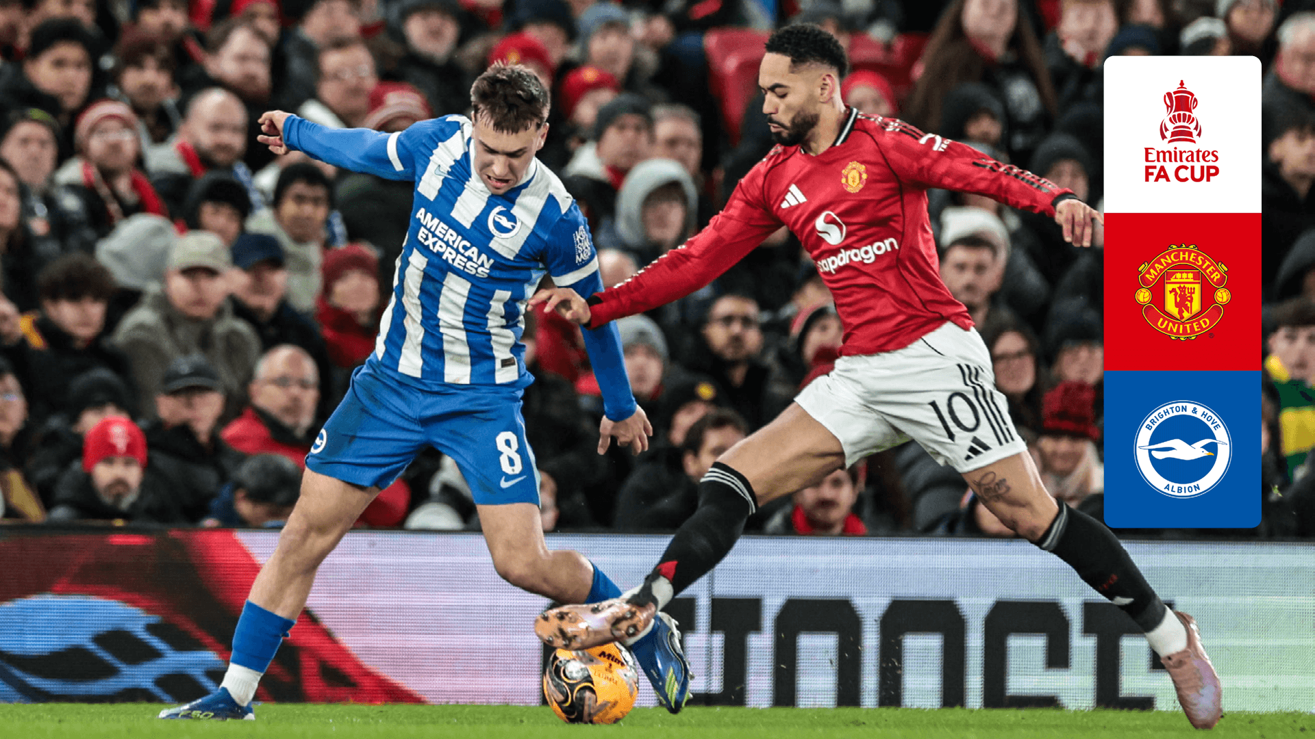 Watch Manchester United - Brighton & Hove Albion (CH) Live Stream ...