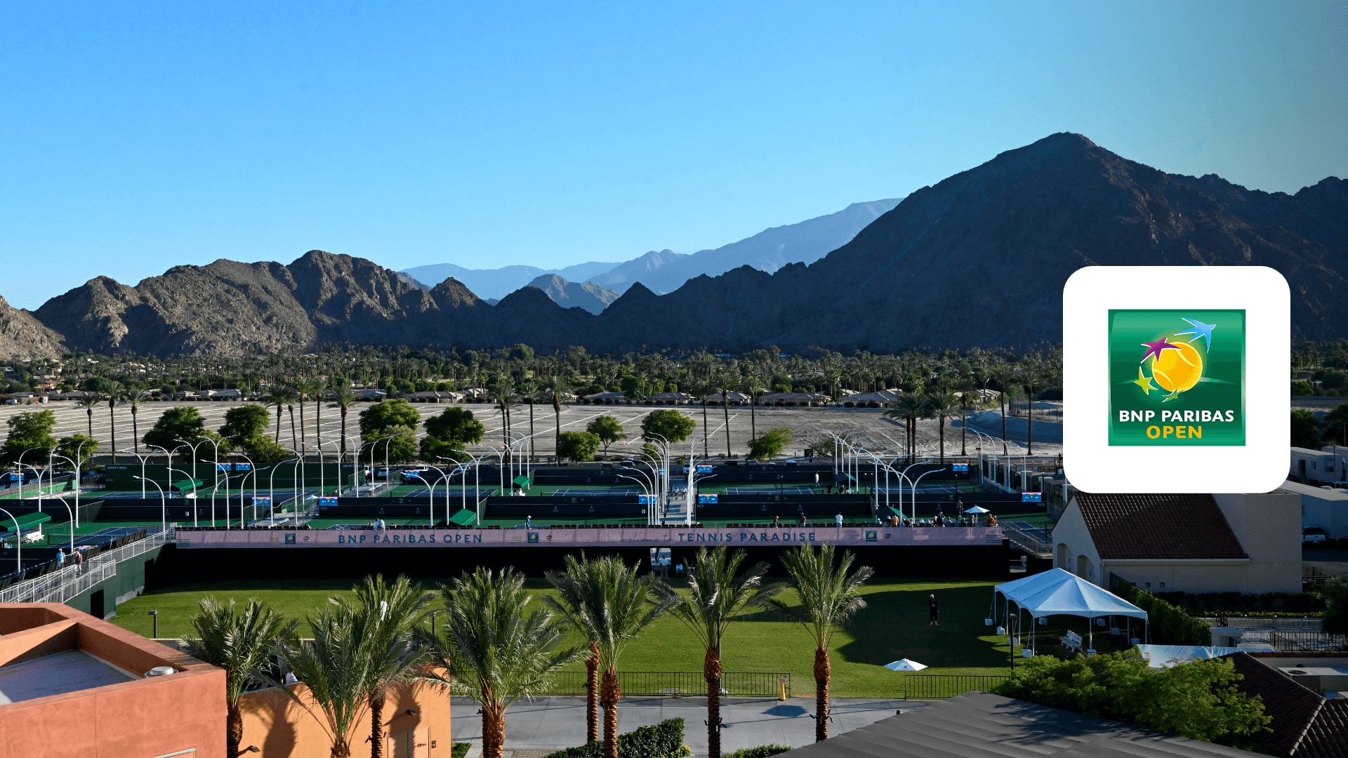 Watch Day 8 - Round 4 Live Stream | DAZN CO