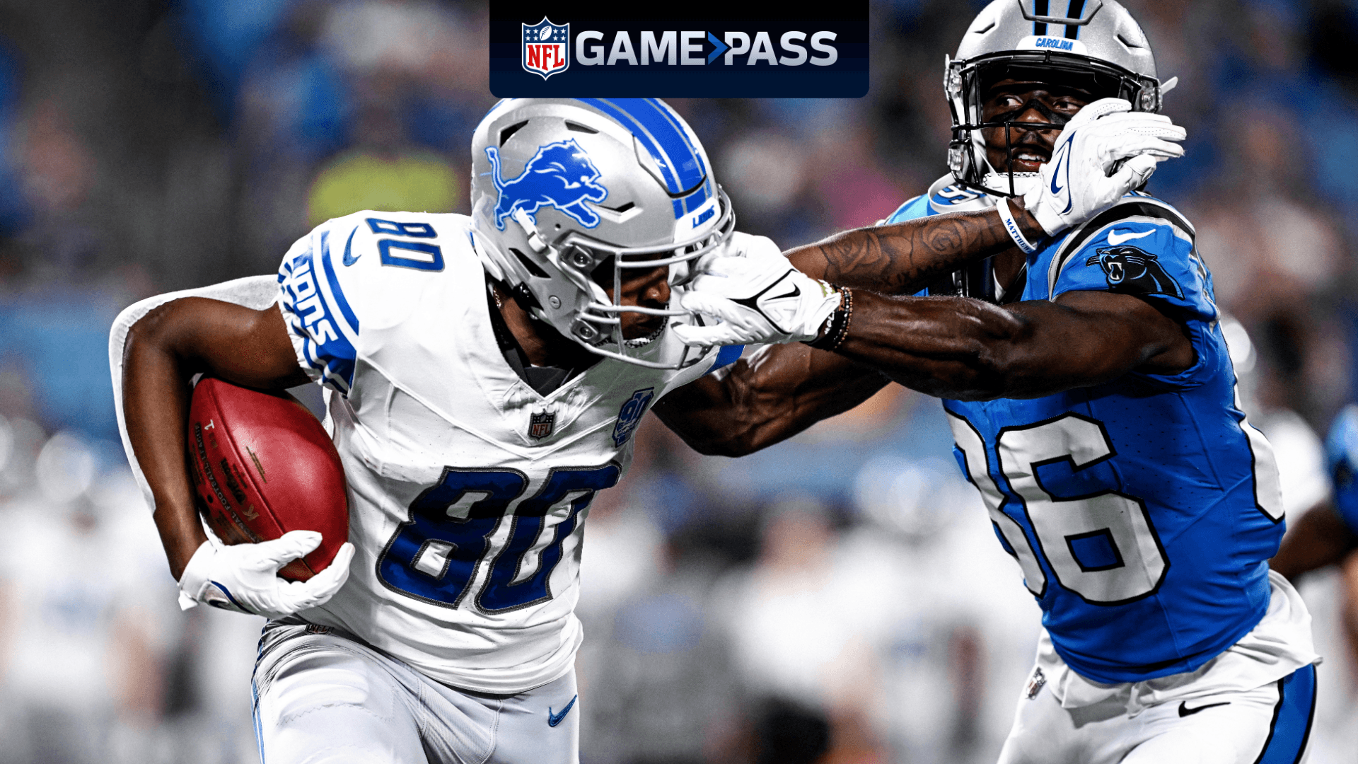 Watch Lions @ Panthers Live Stream | DAZN MR