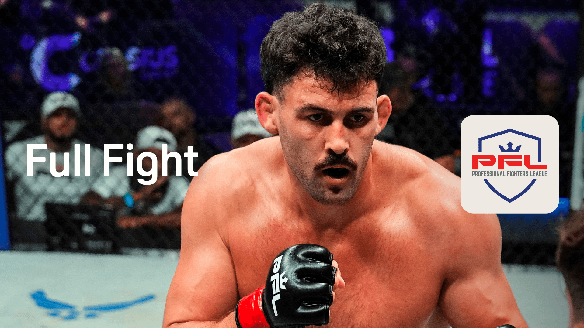 Watch PFL 8 | 2024: Wilkinson vs. Yagshimuradov Online | DAZN AE