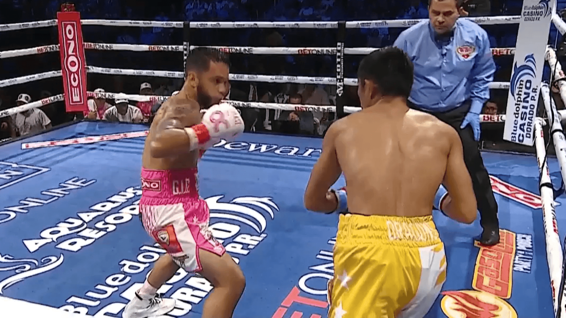 Regarder Collazo vs. Diagan (2023) Online | DAZN CA