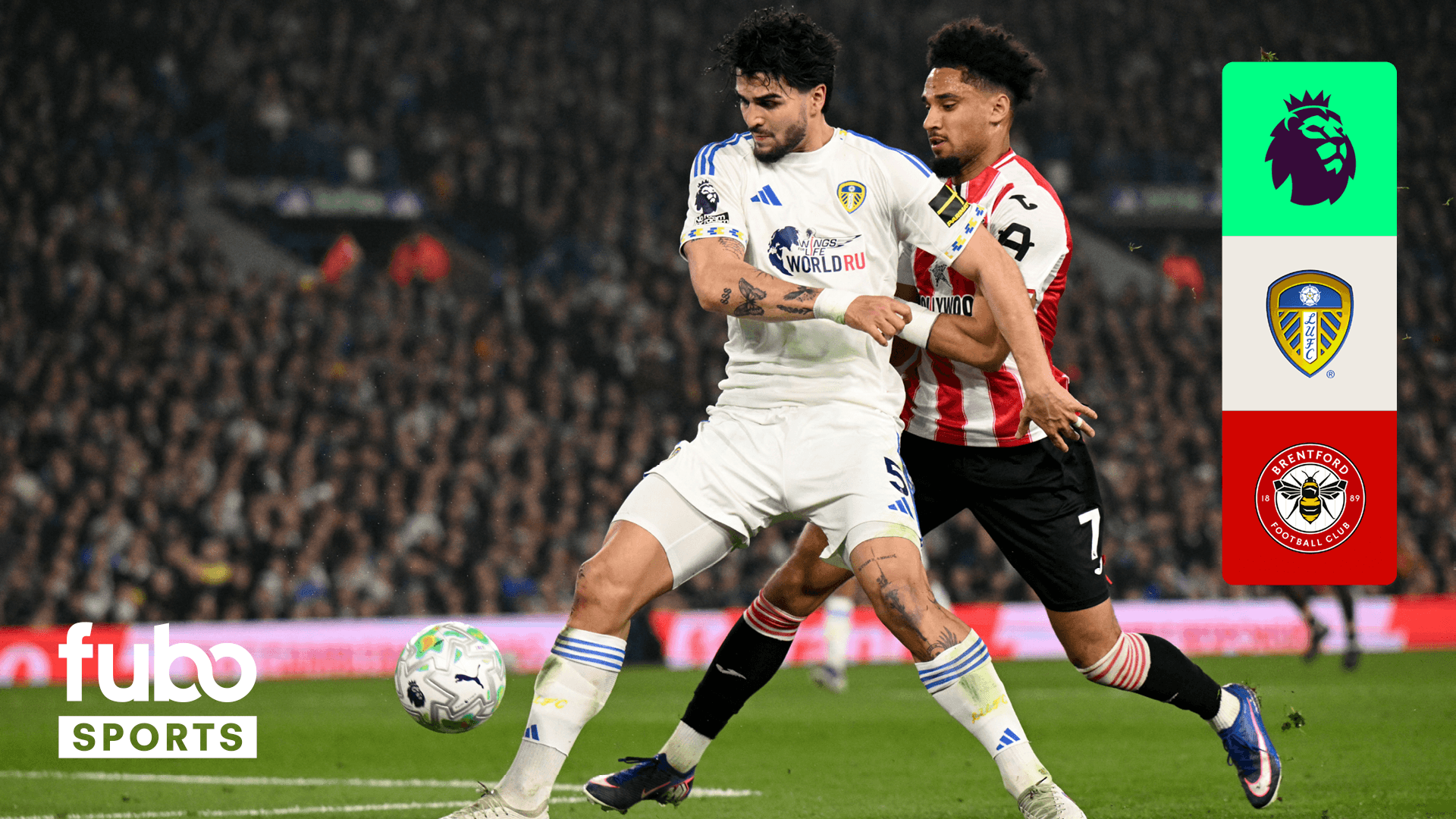 Watch Leeds vs. Brentford Live Stream Online | DAZN CA