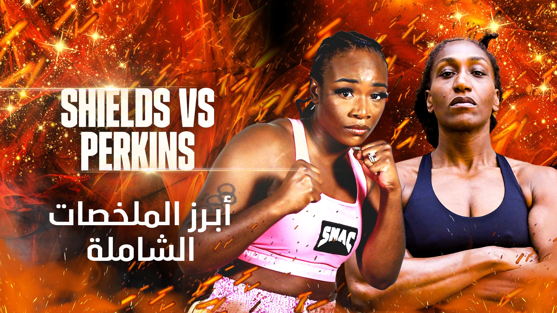شاهد شيلدز ضد بيركنز: أبرز الملخصات الشاملة على الإنترنت | DAZN SA
