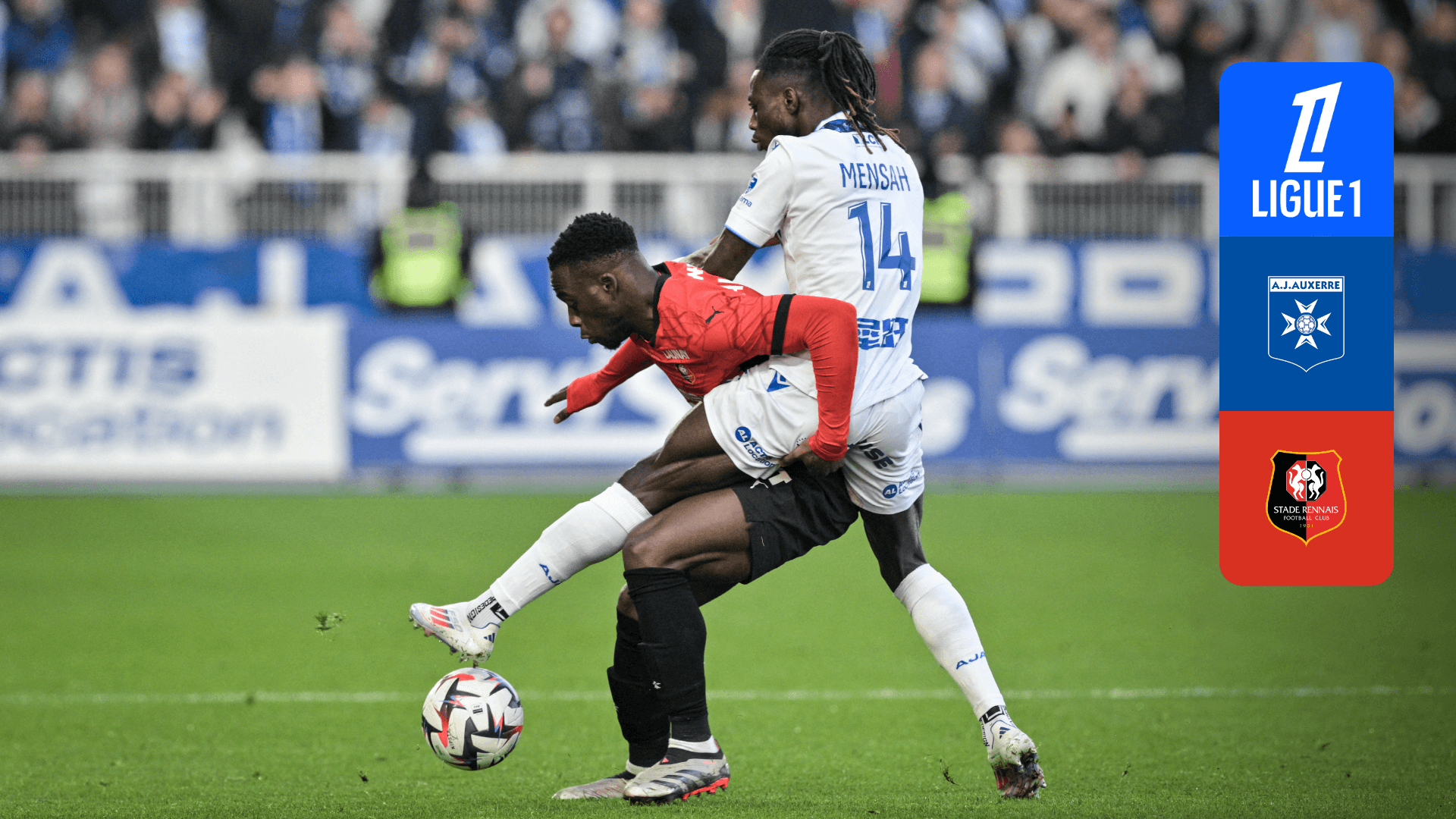 Watch Auxerre - Rennes Live Stream | DAZN DE