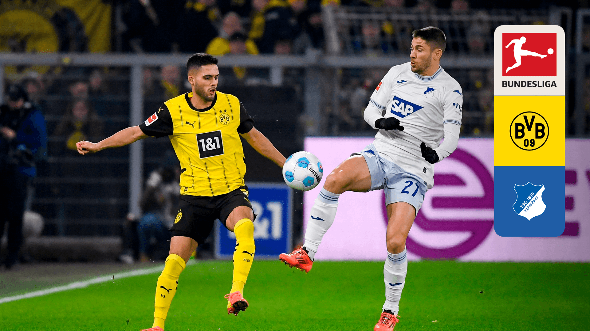 Watch Borussia Dortmund - TSG Hoffenheim (CH) Live Stream | DAZN LU