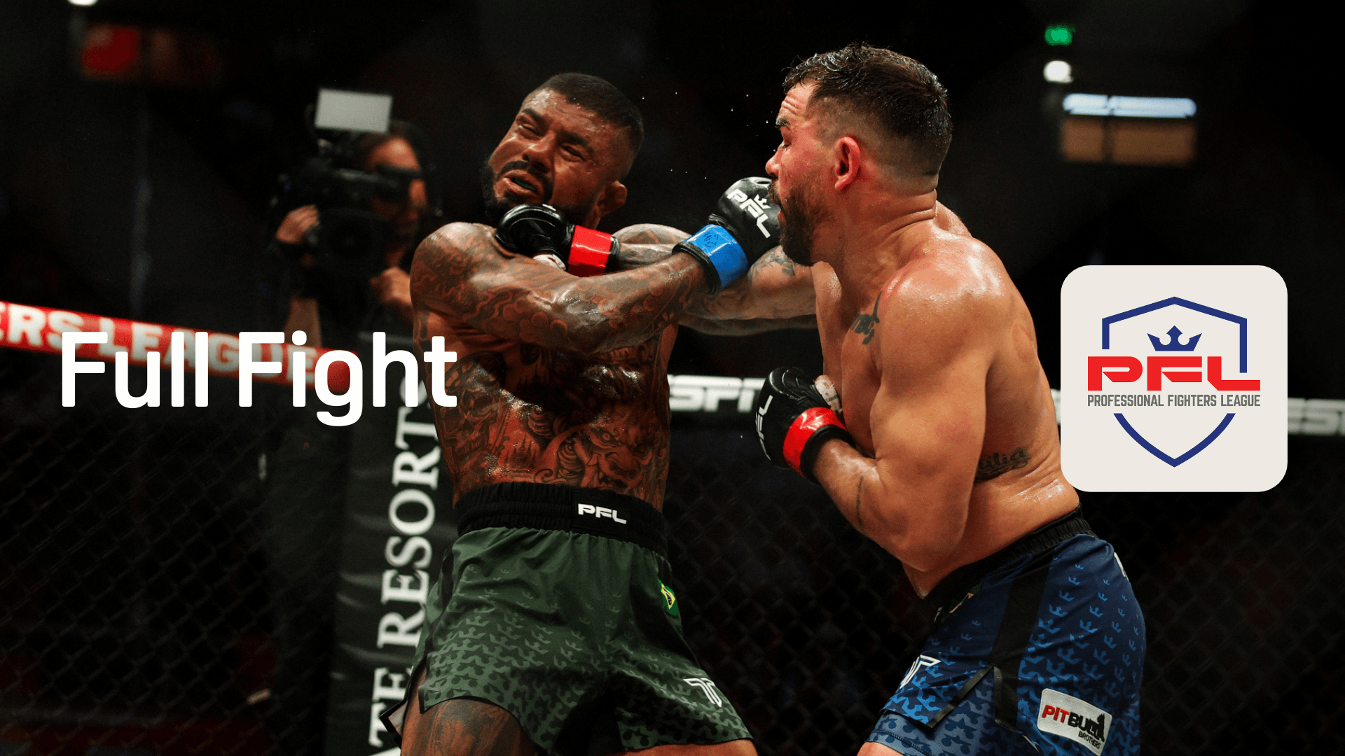 Watch PFL 5 | 2024: Pitbull vs. Miranda Online | DAZN MF