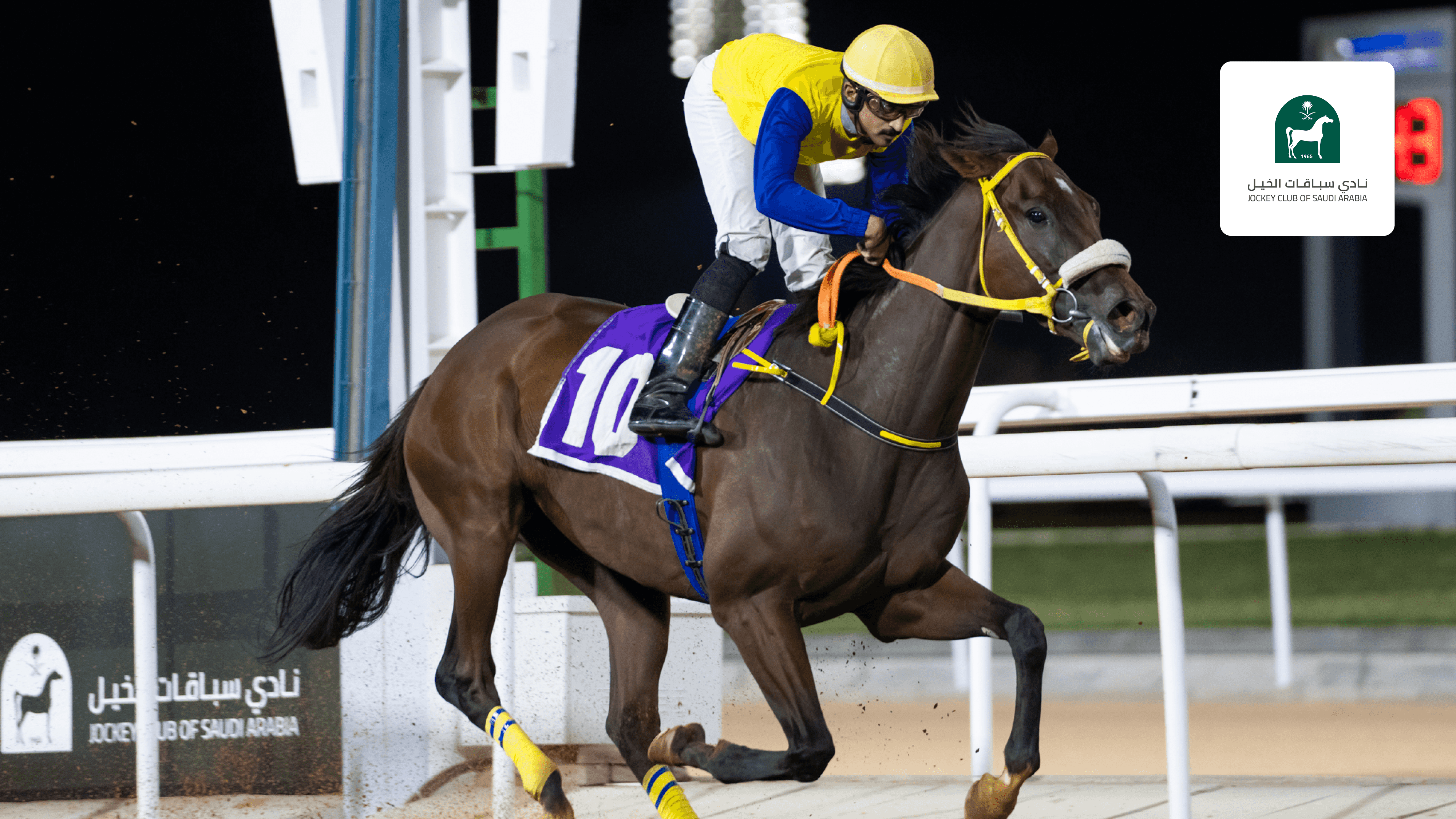 Watch Riyadh Racing Season Race Night 4 (In Arabic) Live Stream Online ...
