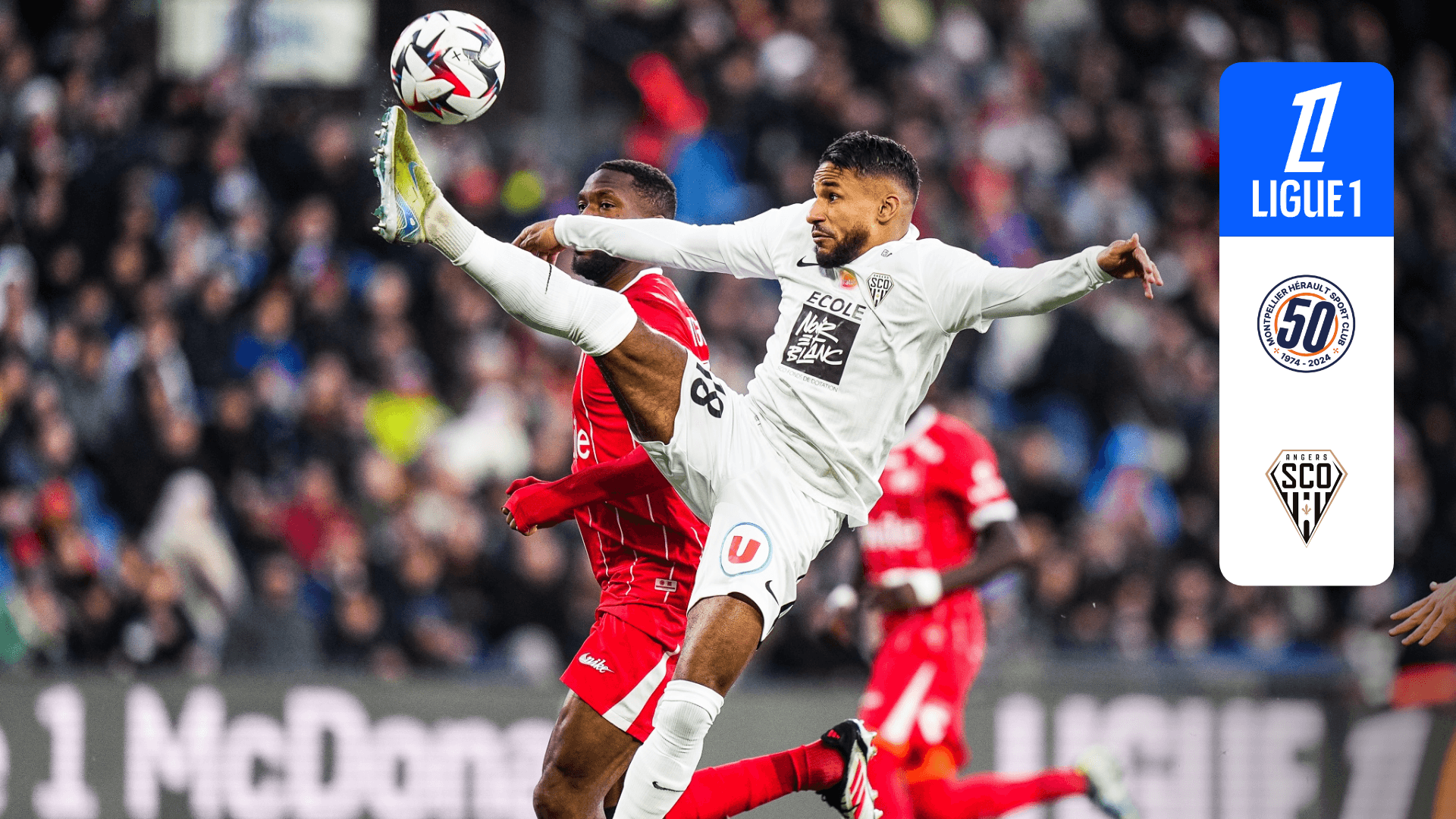 Montpellier - Angers Live Stream | Jetzt Anmelden | DAZN DE