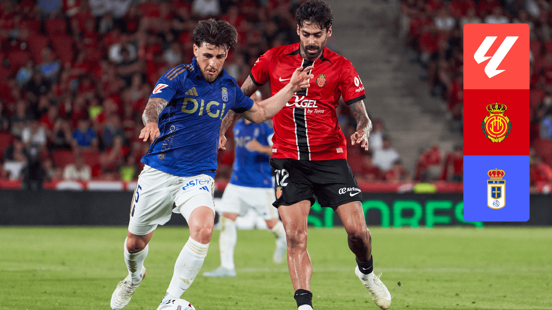Watch Mallorca - Oviedo Live Stream Online | DAZN AT
