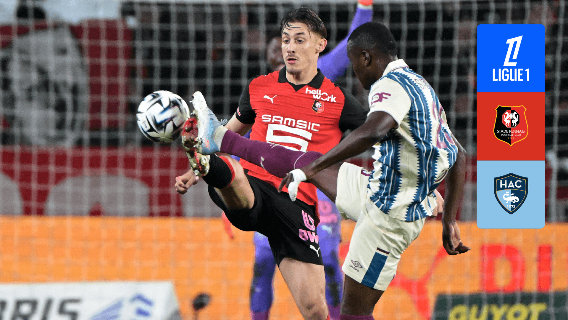 Watch Rennes - Le Havre Live Stream Online | DAZN DE