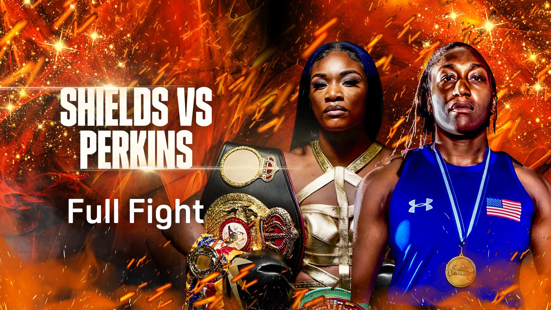 Watch Shields vs. Perkins: Full Fight Online | DAZN US