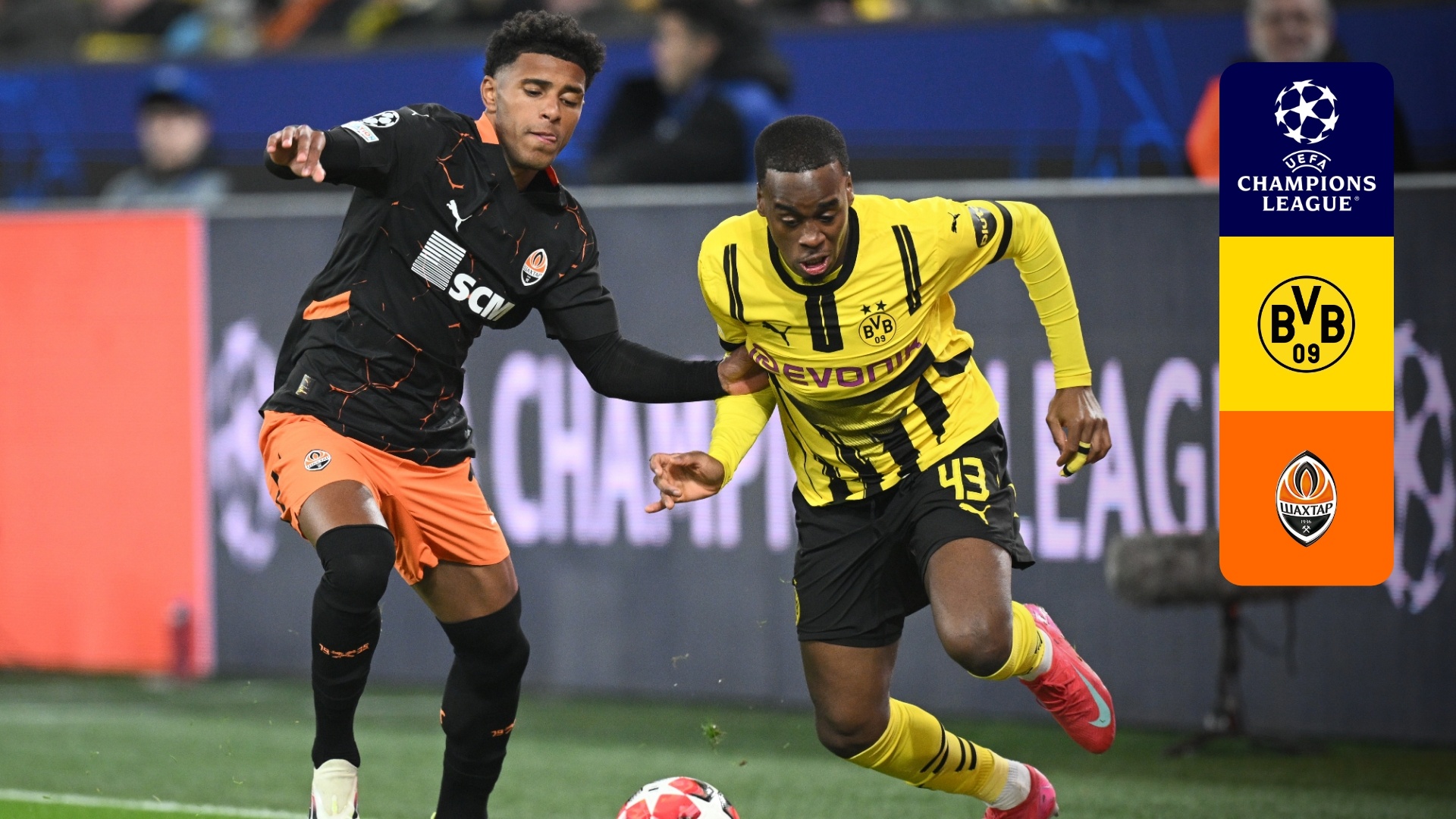 Watch Dortmund x Shakhtar Donetsk Live Stream | DAZN PT