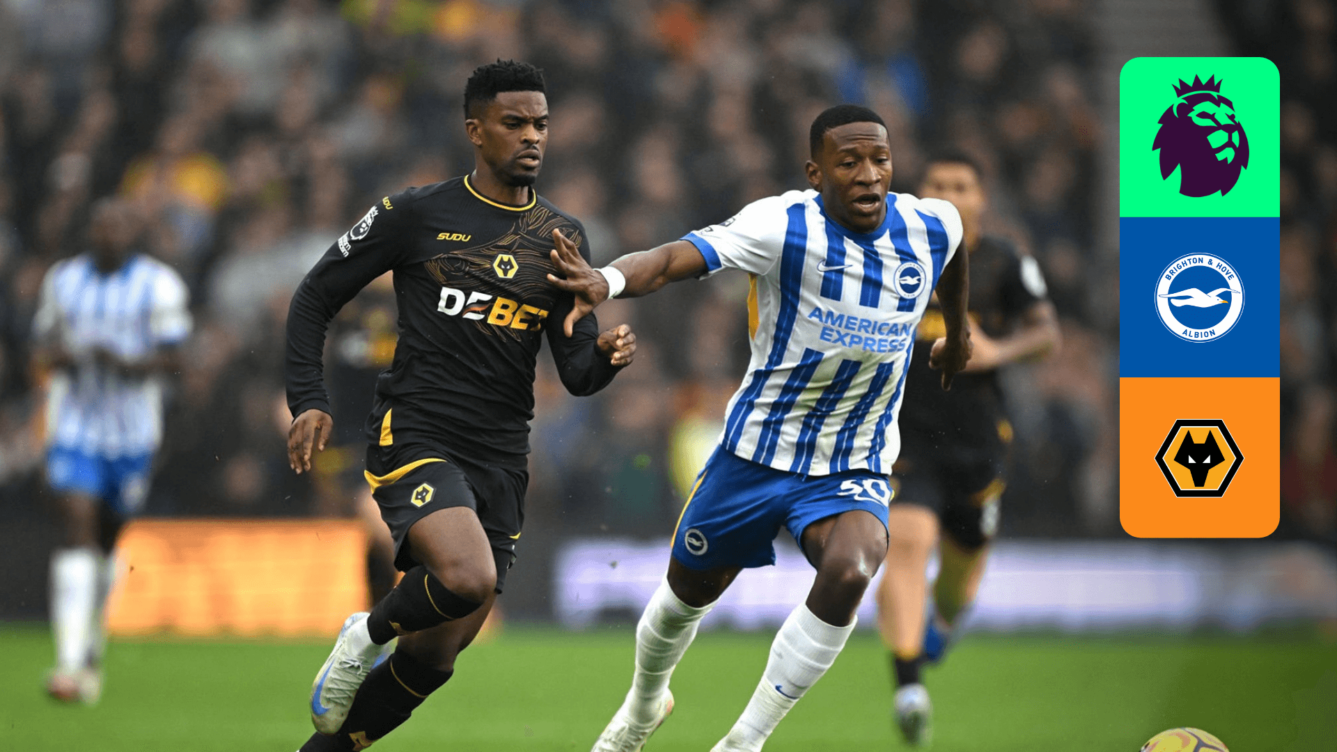 Watch Brighton - Wolverhampton Live Stream | DAZN ES