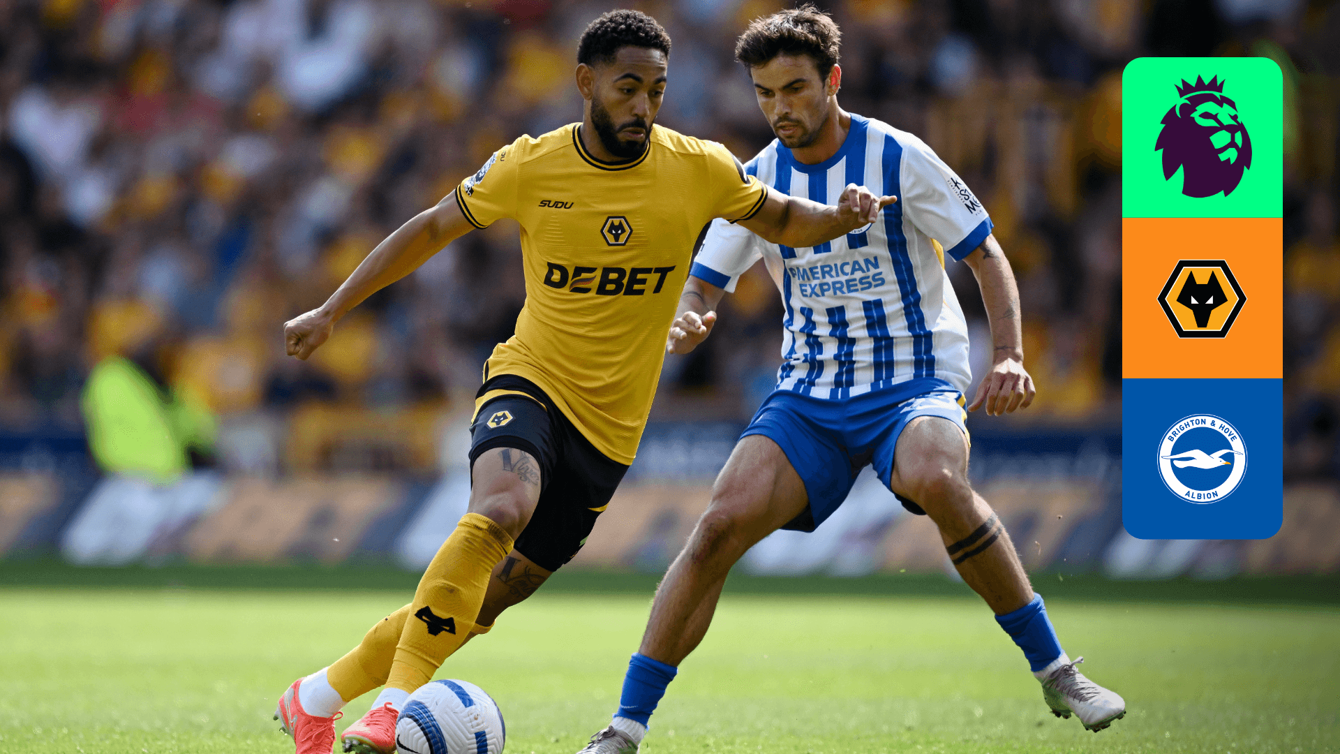 Ver Wolverhampton - Brighton Online en Directo | DAZN ES