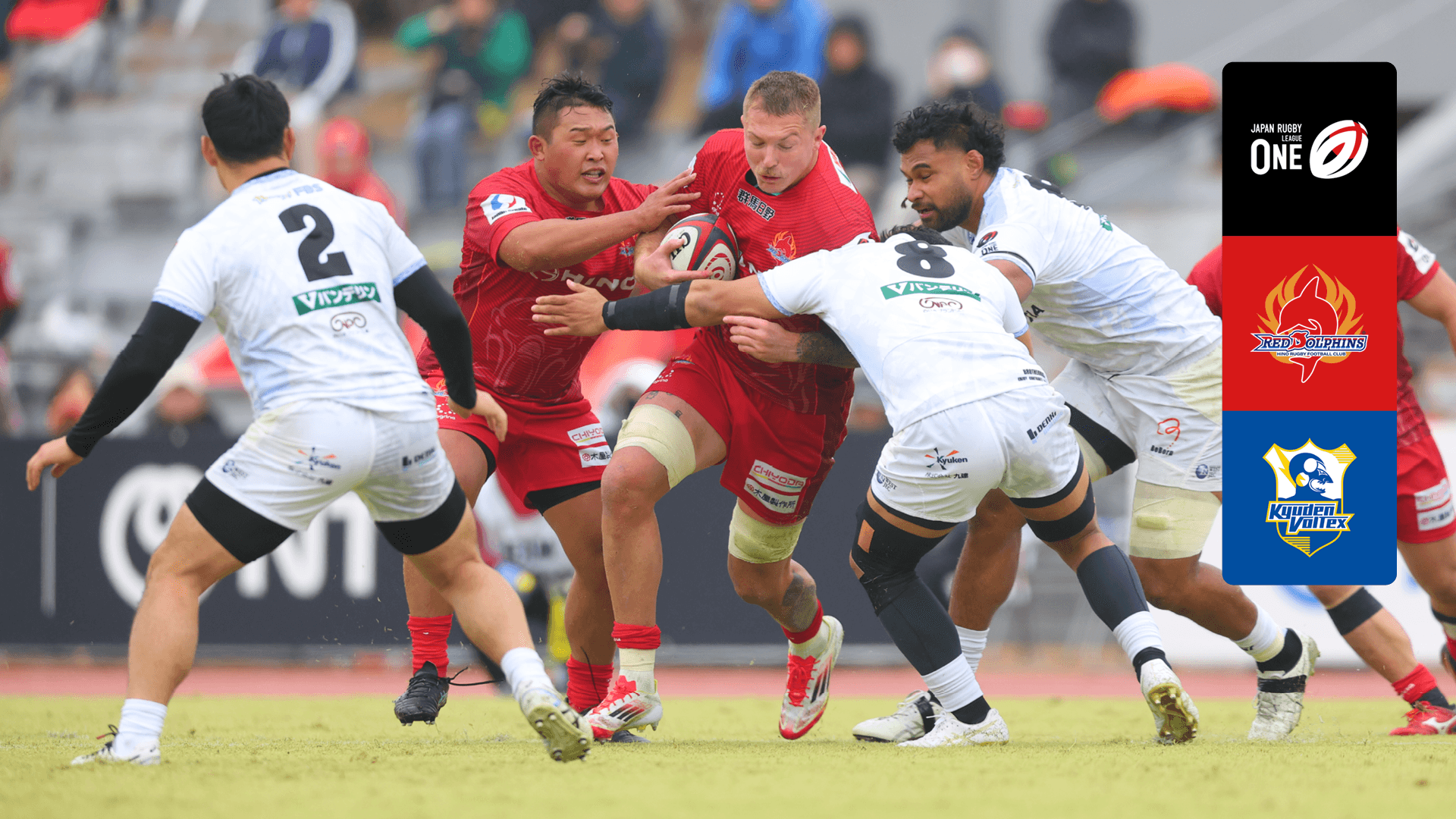 Watch Hino Red Dolphins v Kyuden Voltex Live Stream Online | DAZN JP