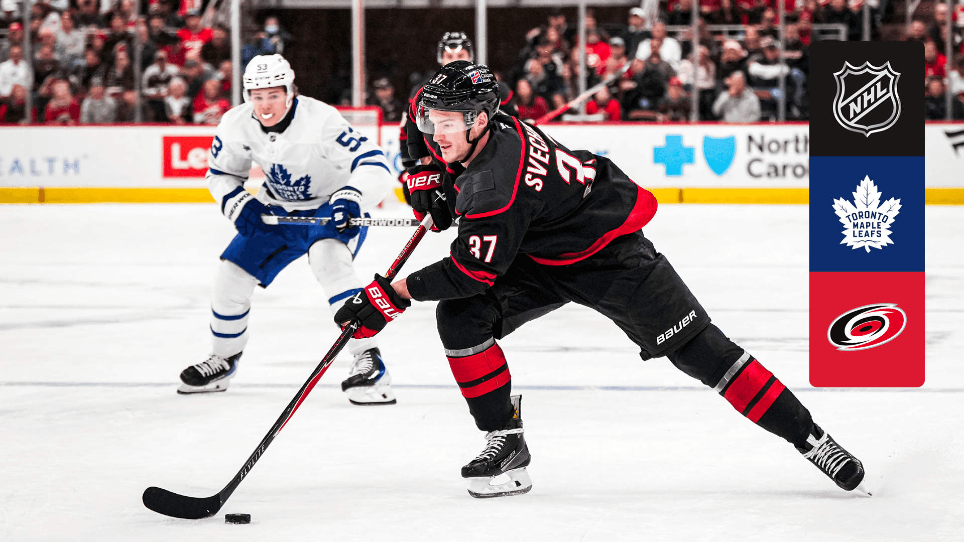 Watch Maple Leafs @ Hurricanes Live Stream Online | DAZN PH