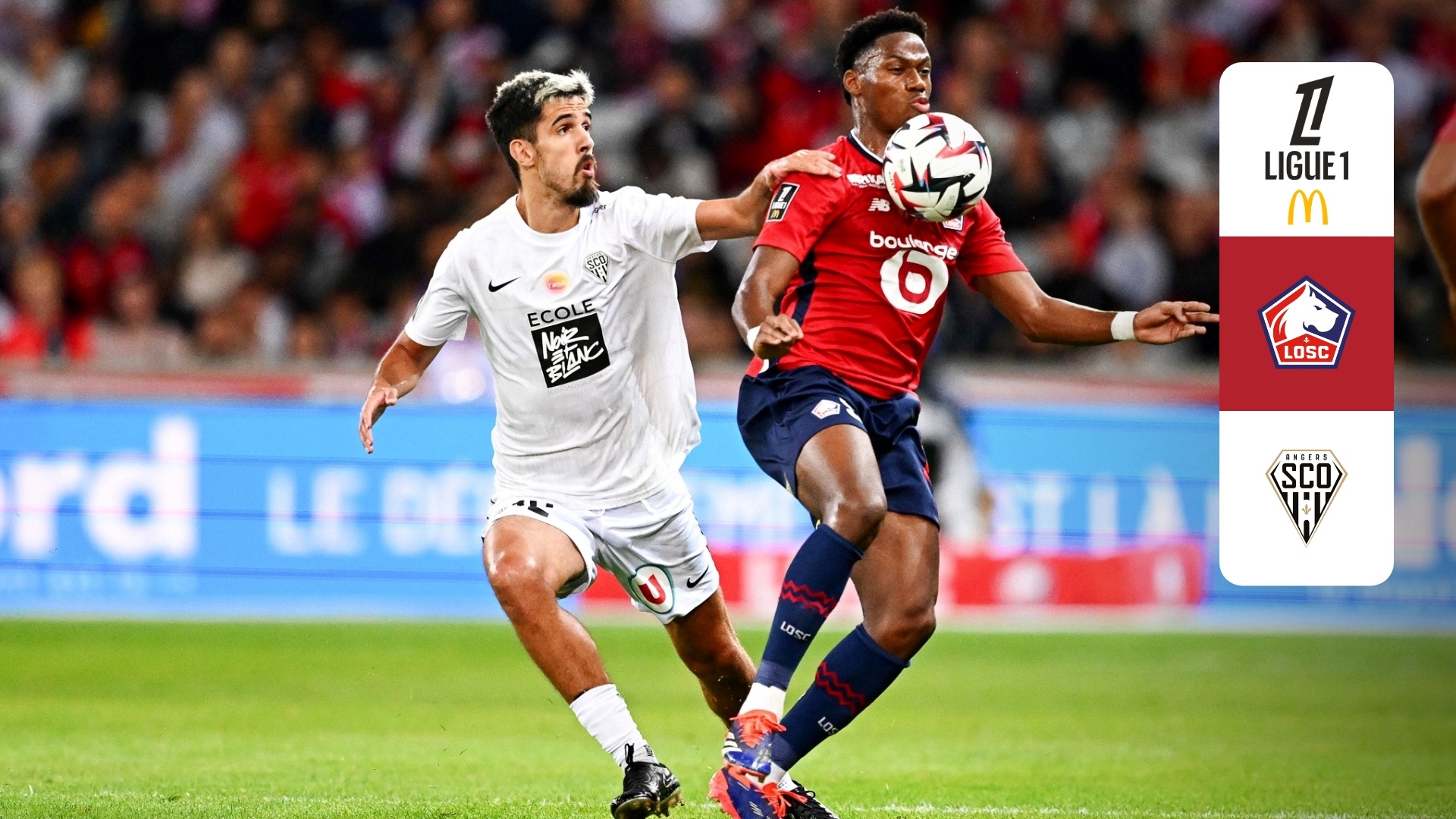 Watch Lille v Angers SCO Live Stream | DAZN JP