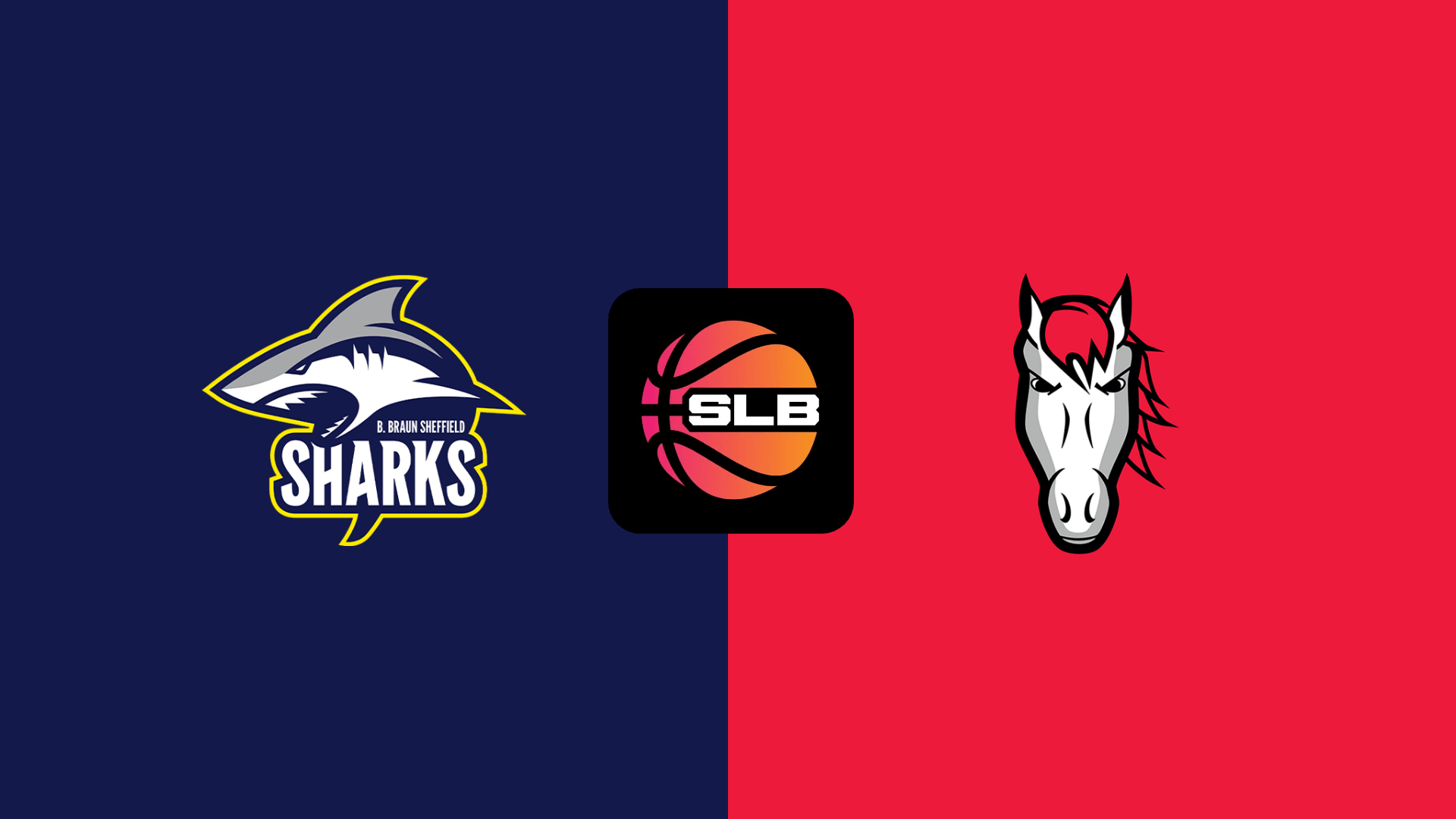 Sheffield Sharks - Leicester Riders in Diretta Streaming | DAZN IT