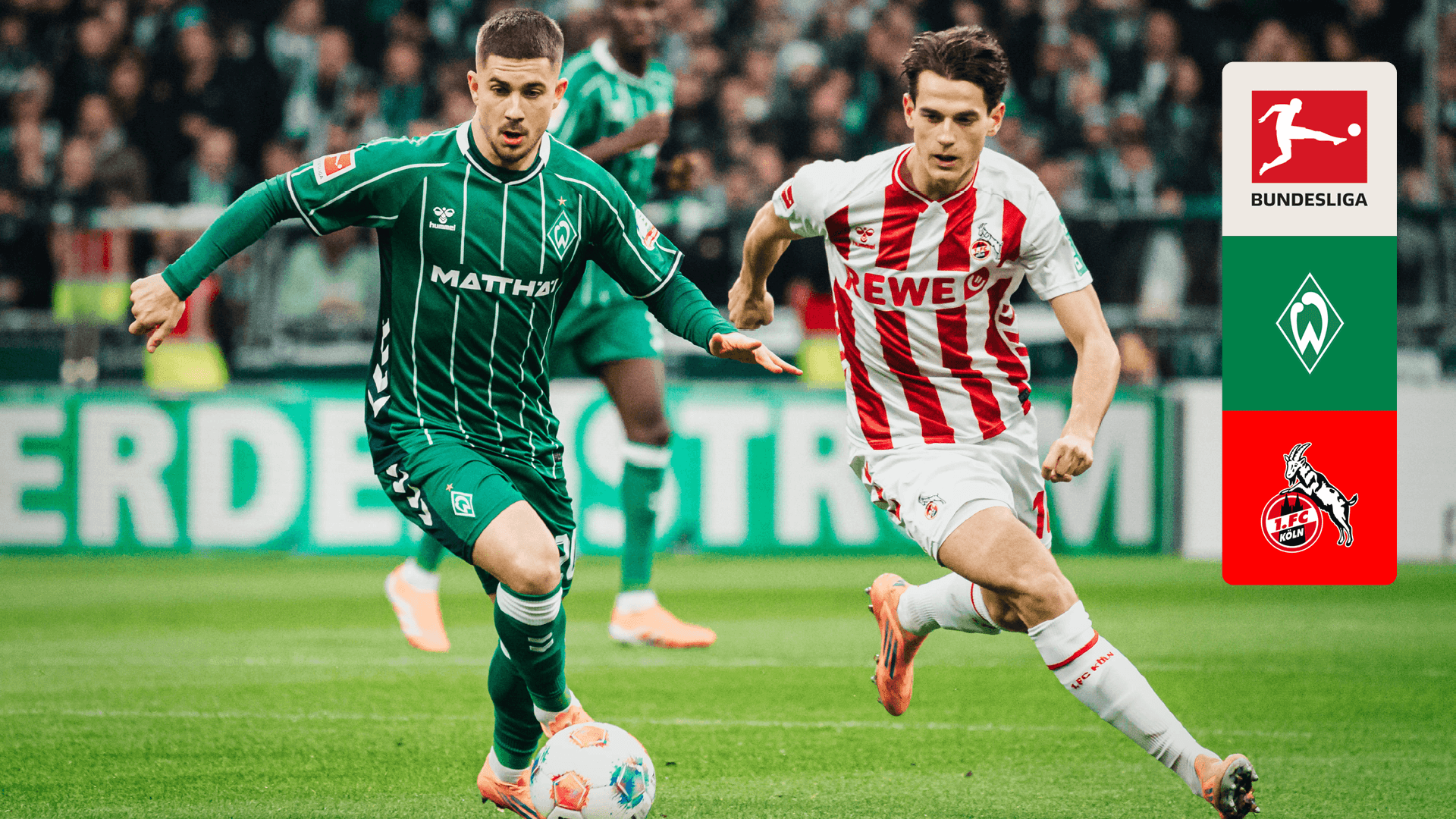 Vê Werder Bremen x Köln em Direto Online | DAZN PT