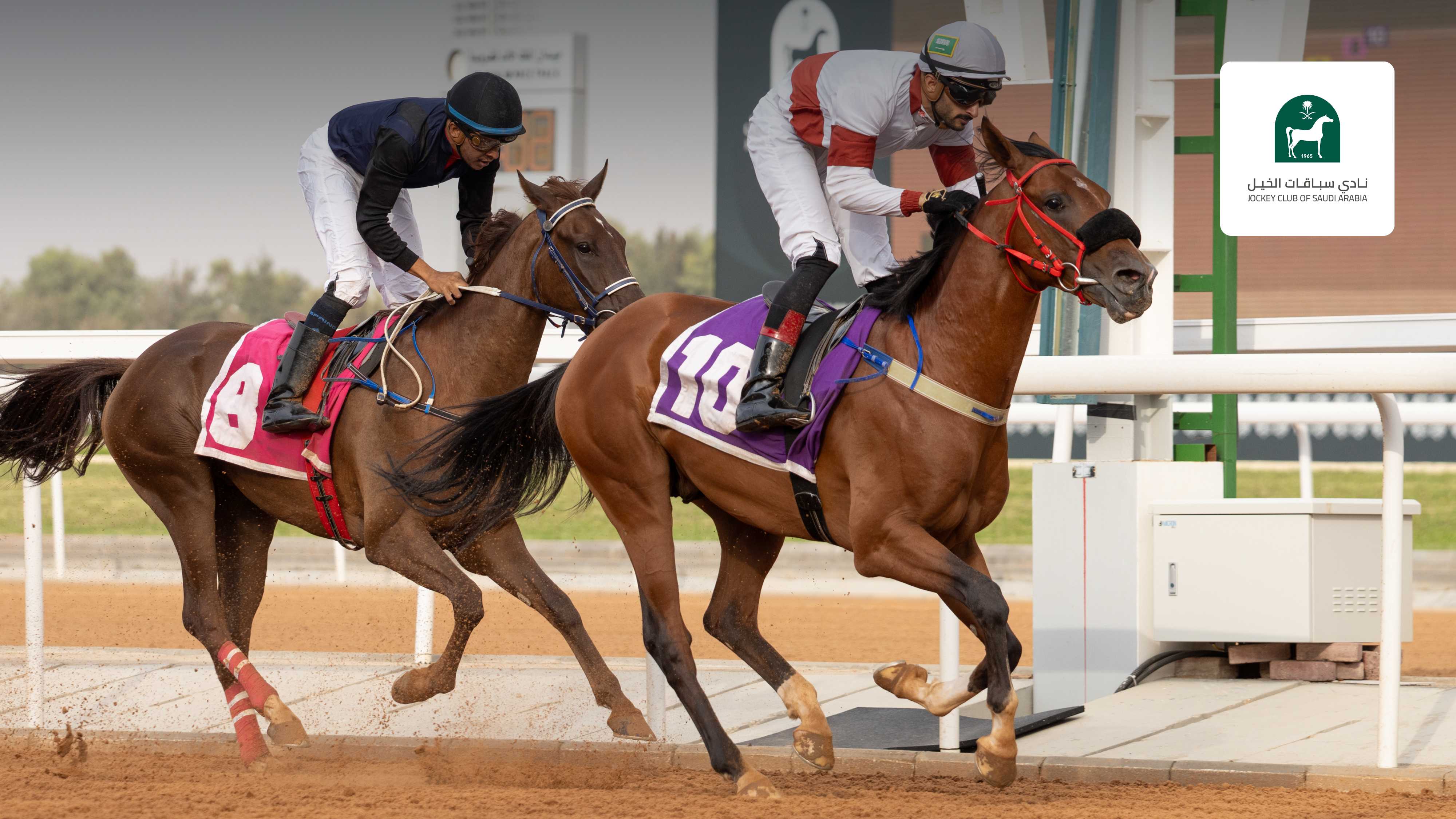 Watch Riyadh Racing Season Race Night 1 Live Stream Online | DAZN IE