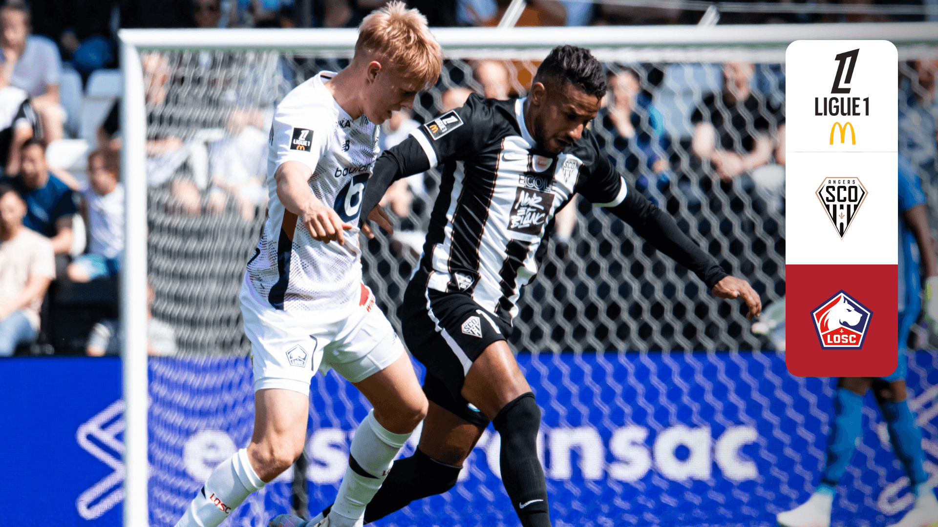 Watch Angers SCO v Lille Live Stream | DAZN JP