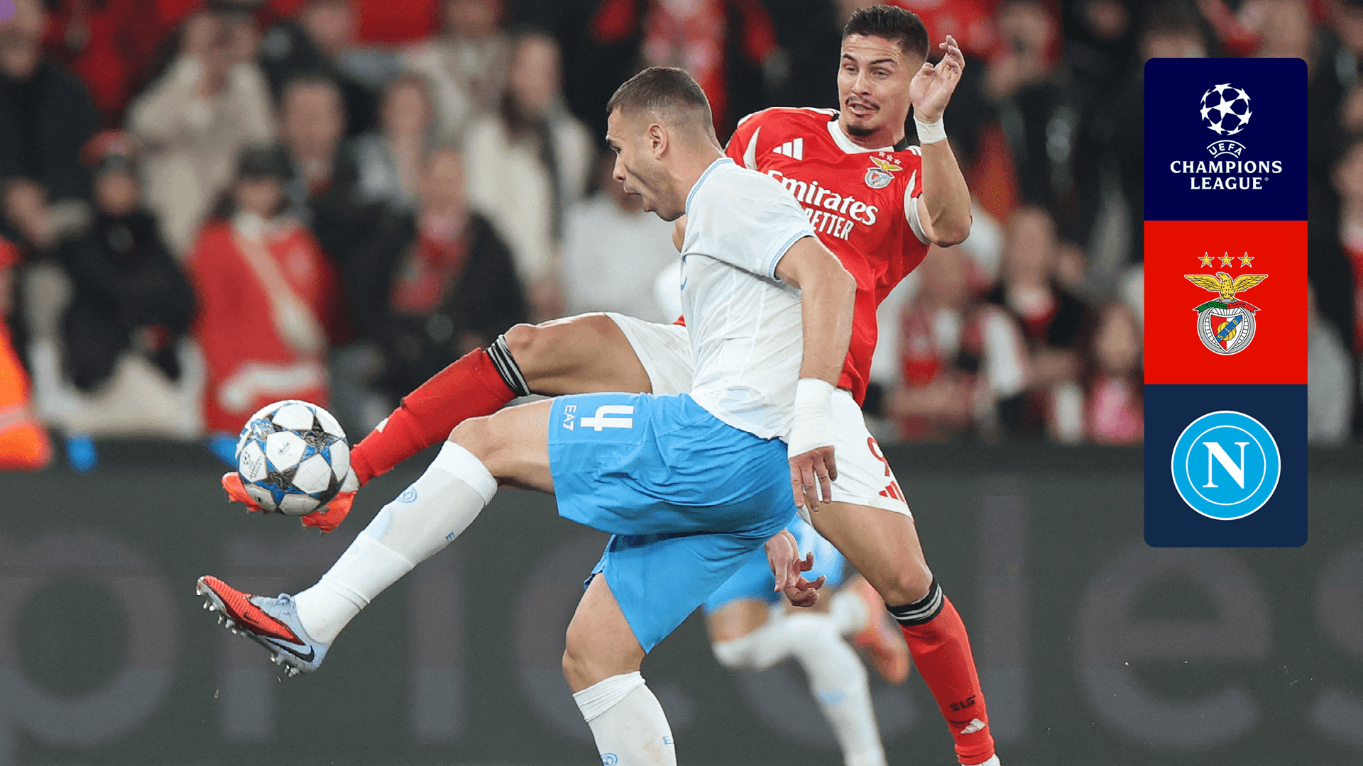 Watch Benfica vs. Napoli Live Stream Online | DAZN NZ