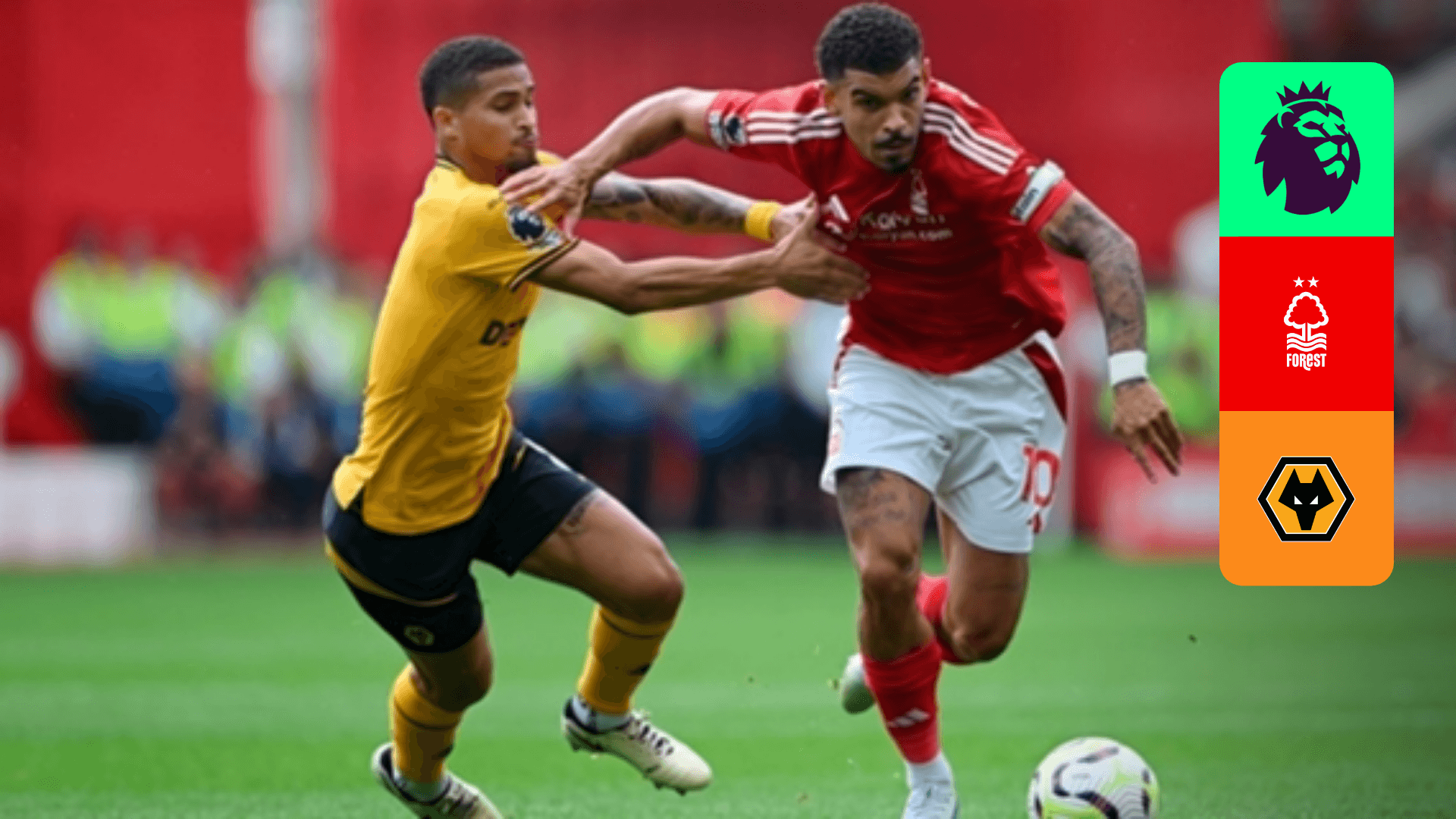 Ver: Nott'm Forest x Wolves em Direto | DAZN PT