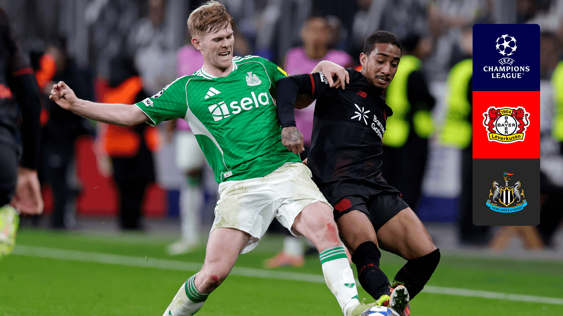 Watch Leverkusen x Newcastle Live Stream Online | DAZN PT
