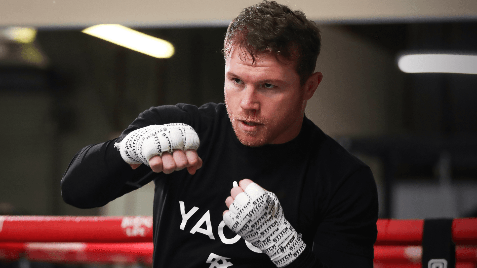 Ver Esta semana en el boxeo: Se anuncia el regreso de Canelo Online ...