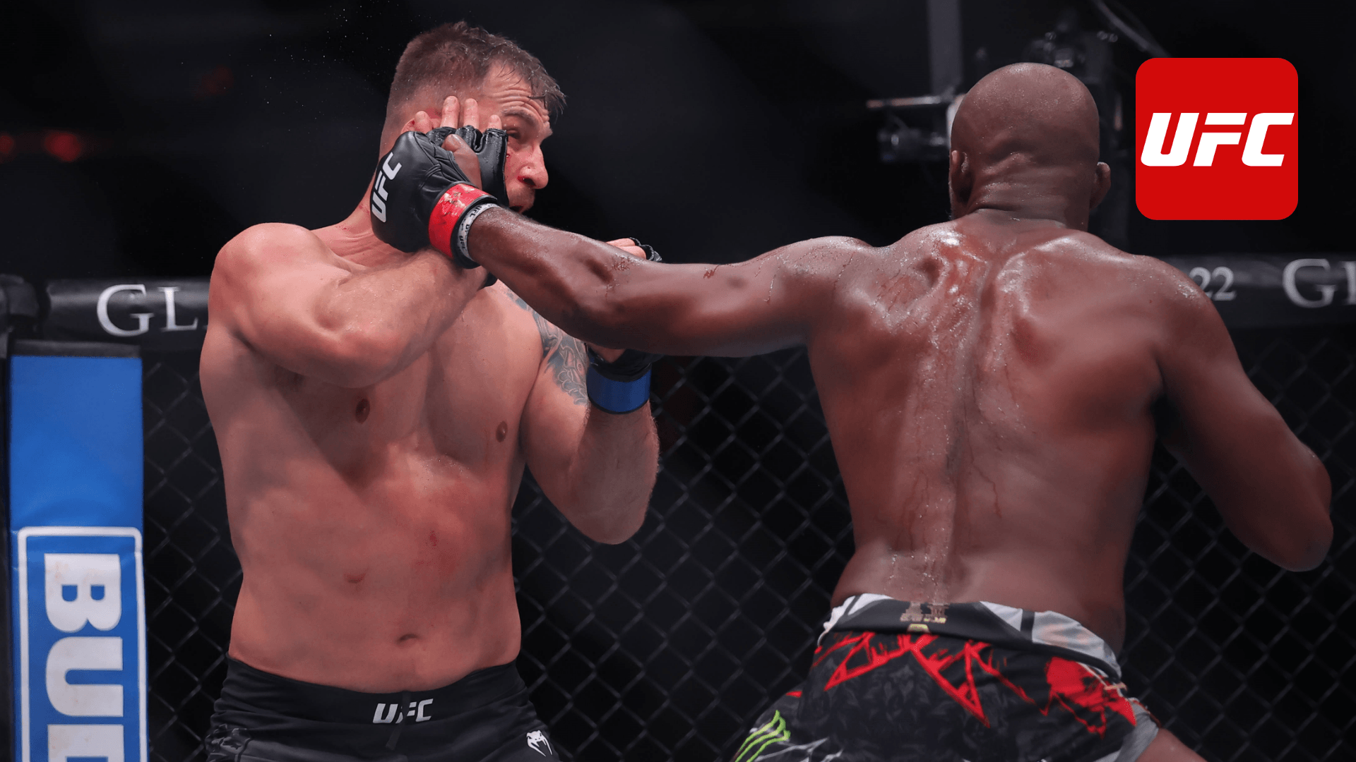 Watch UFC 309 | Jon Jones vs Stipe Miocic (Main Card) Live Stream | DAZN DE