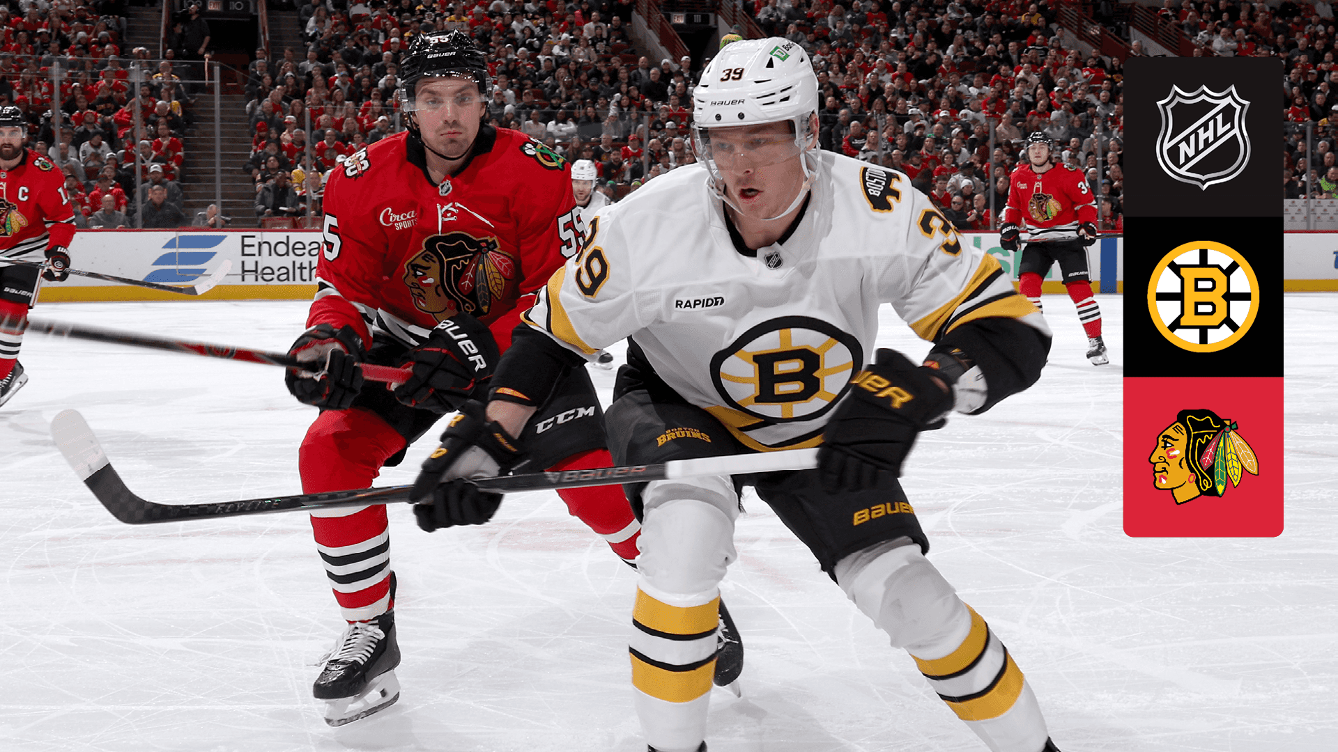 Watch Bruins @ Blackhawks Live Stream Online | DAZN TH