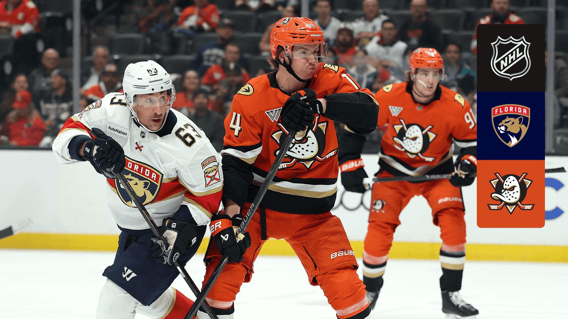 Watch Panthers @ Ducks Live Stream Online | DAZN AE